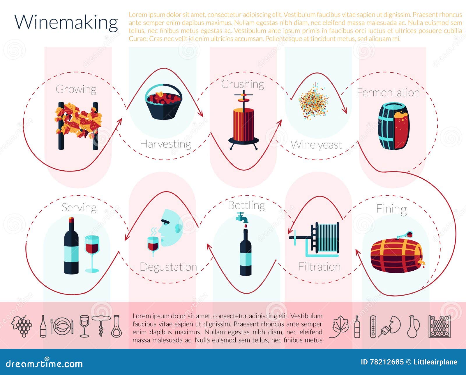 Wine Fermentation Process