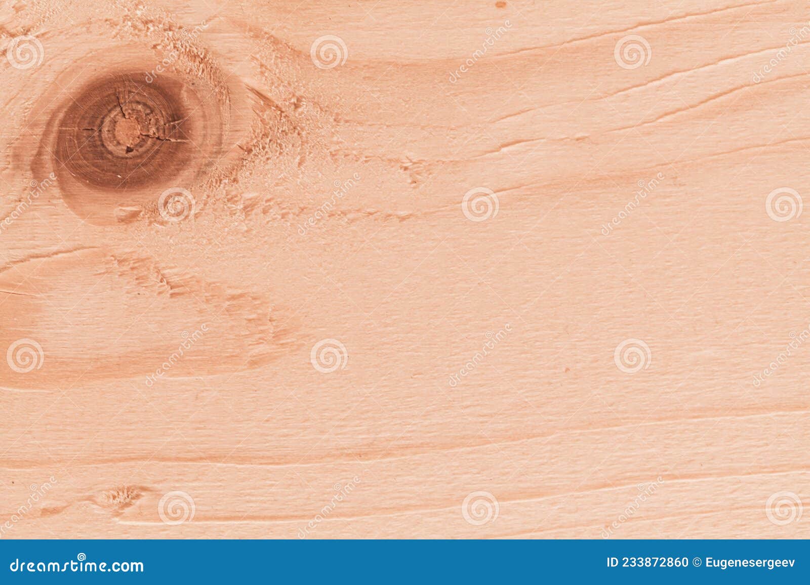 Flat Wooden Board Macro Photo with a Knot, Background Texture Stock ...