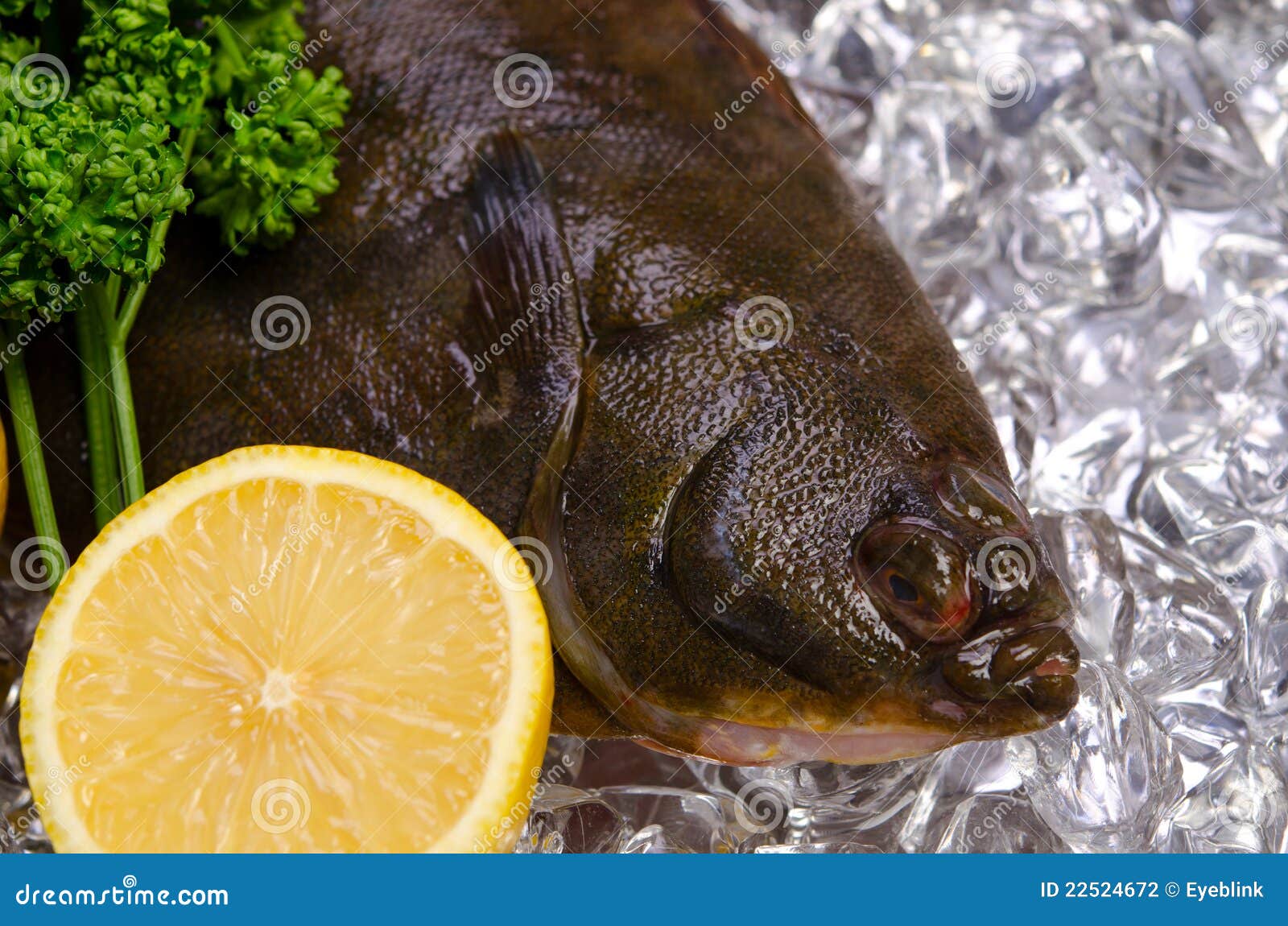 Flatfish stock photo. Image of healthy, delicacy, eating - 22524672
