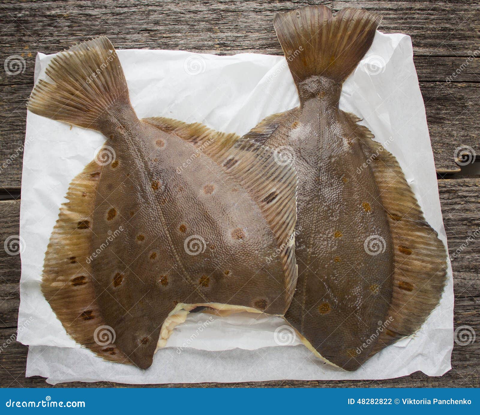 Flatfish stock photo. Image of ingredients, fauna, tail - 48282822