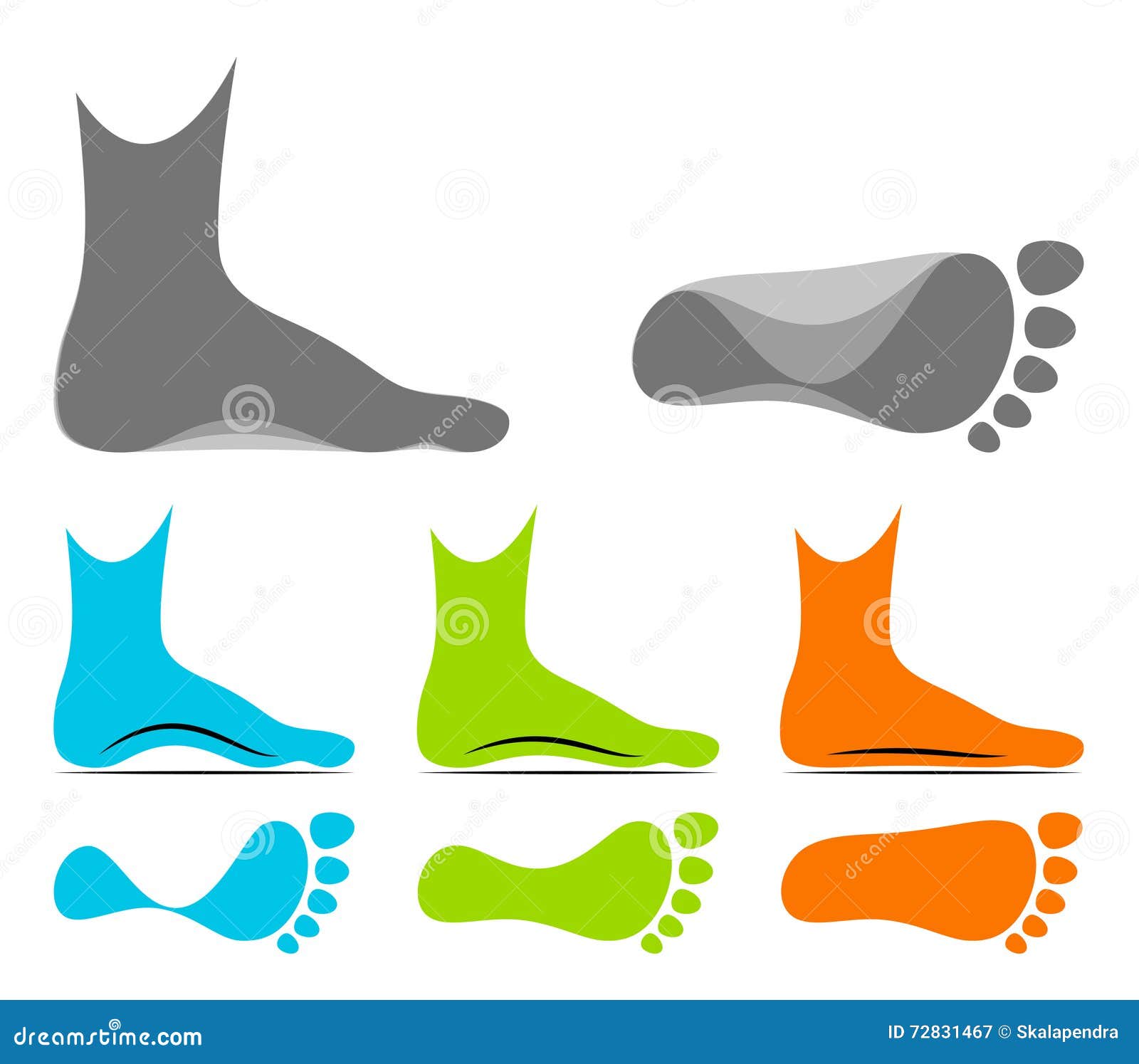 Instep And Toe Cartoon Vector | CartoonDealer.com #27488069