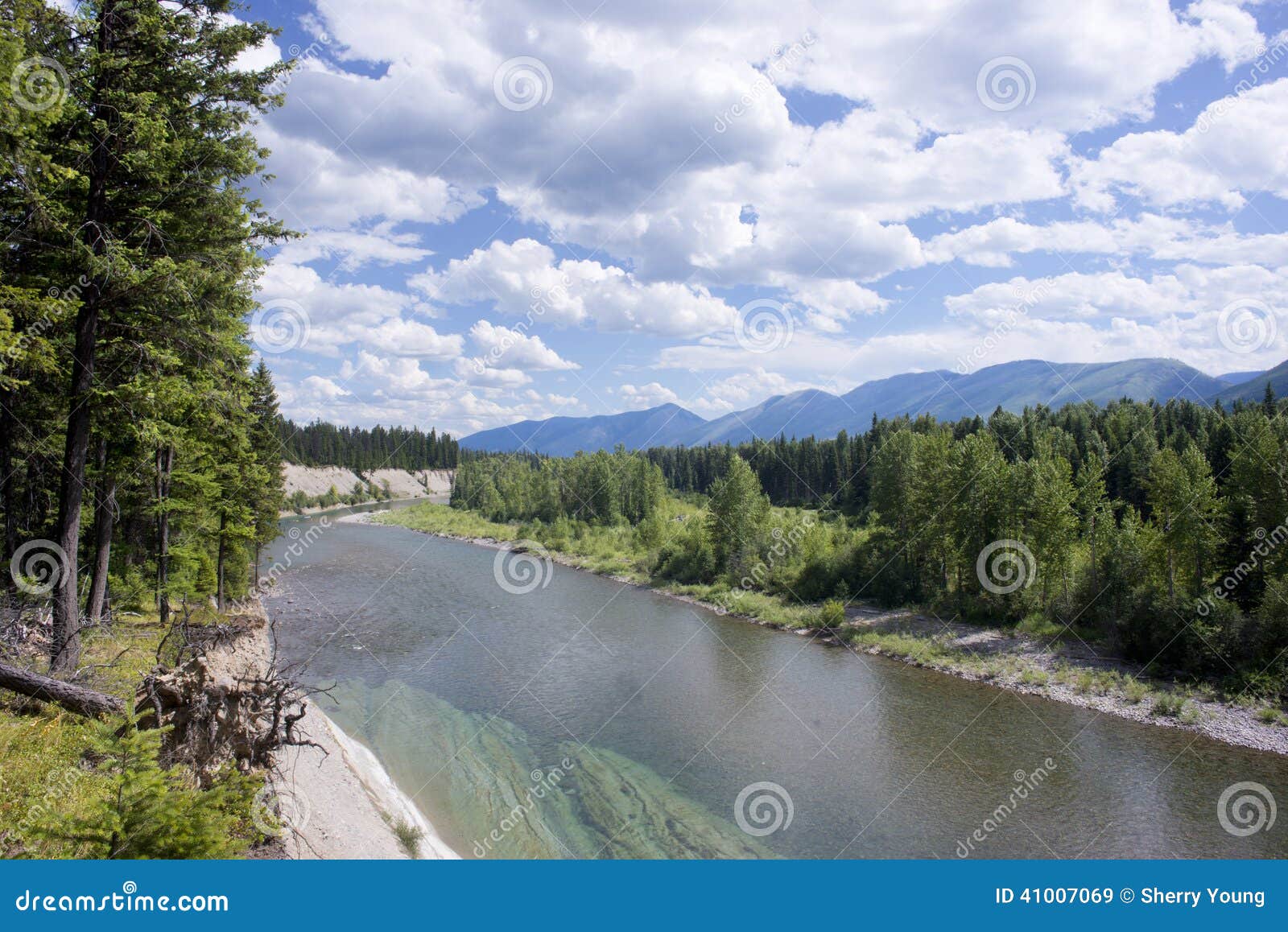 Flathead River stock image. Image of rock, natural, glacier - 41007069