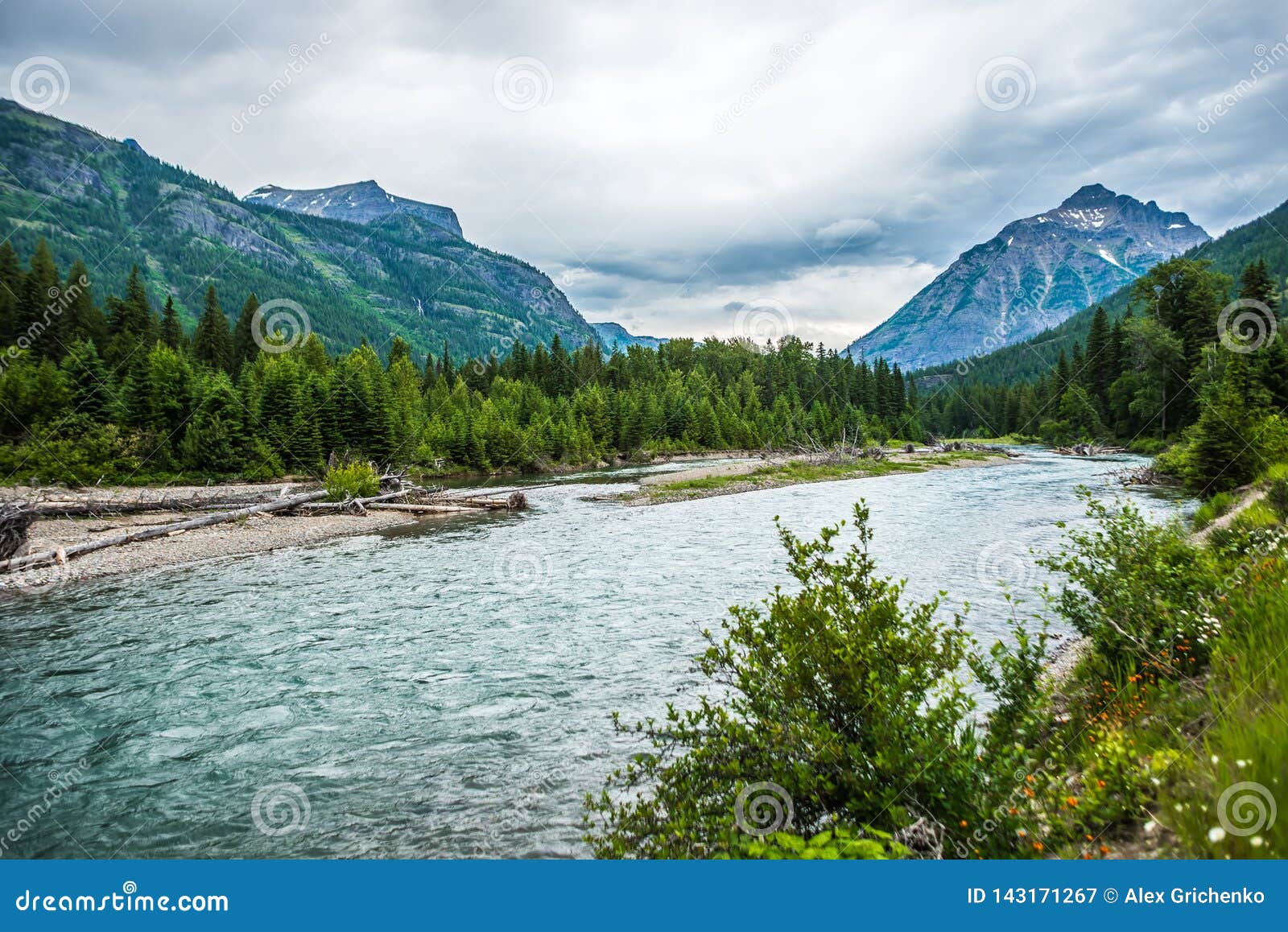 Flathead River Rapids in Glacier National Park Montana Stock Image ...