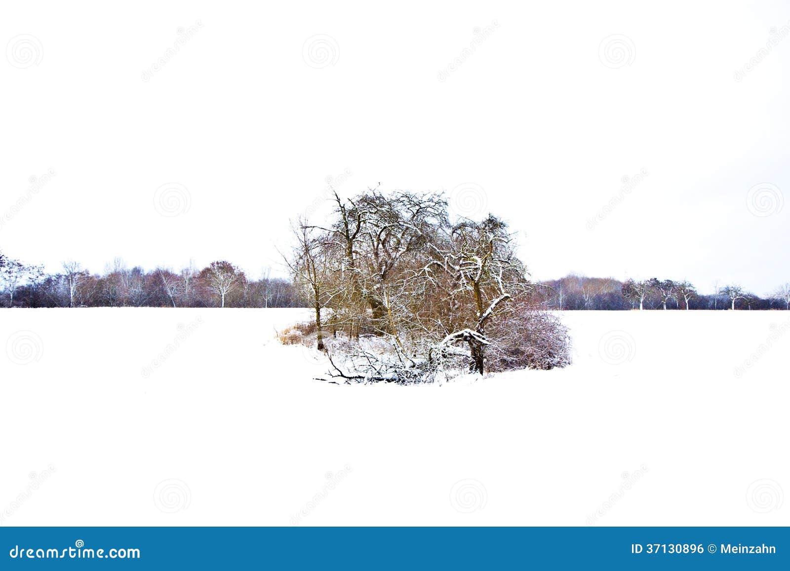 Flatland with Snow in Winter Stock Photo - Image of frozen, frosty ...