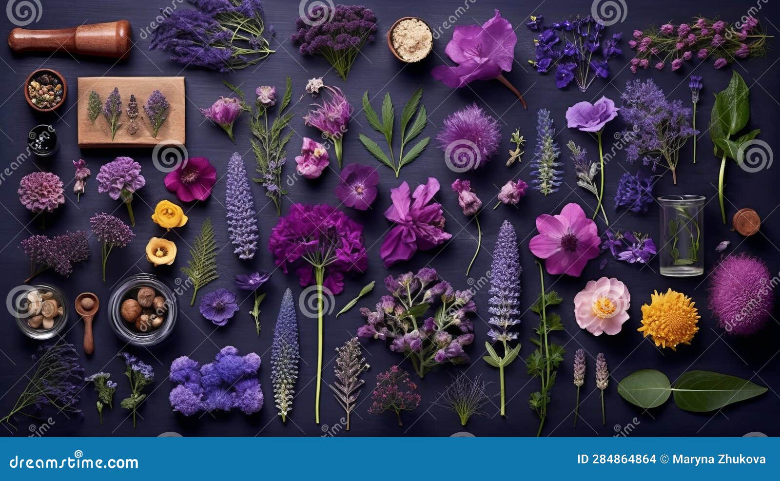 Flatlay Layout of Lavender, Elements of Various Sizes and Types of ...