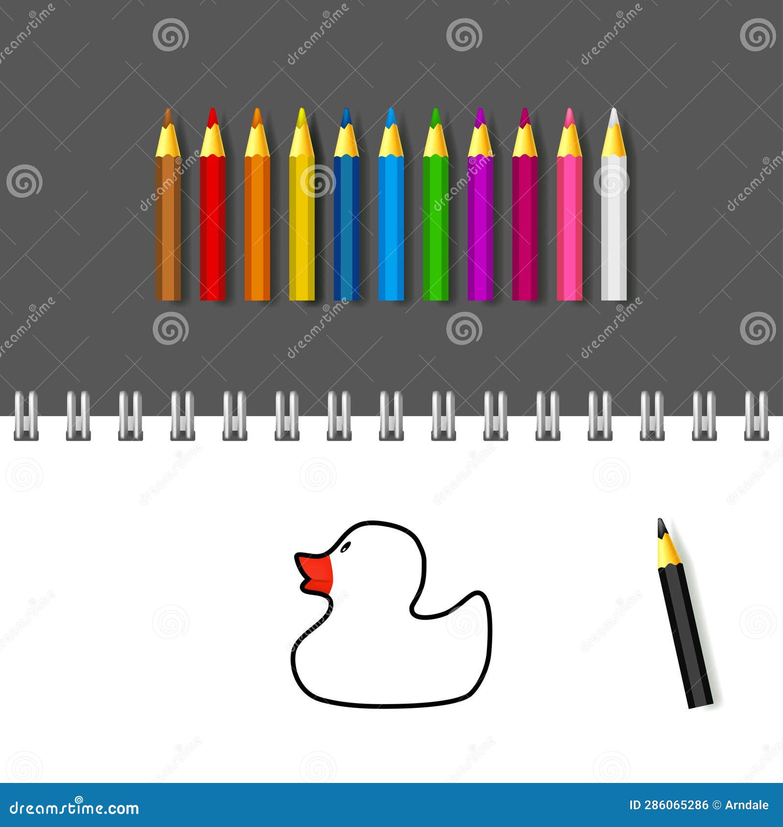 Drawn Yellow Duck in a Notebook and Color Pencils Stock Illustration ...