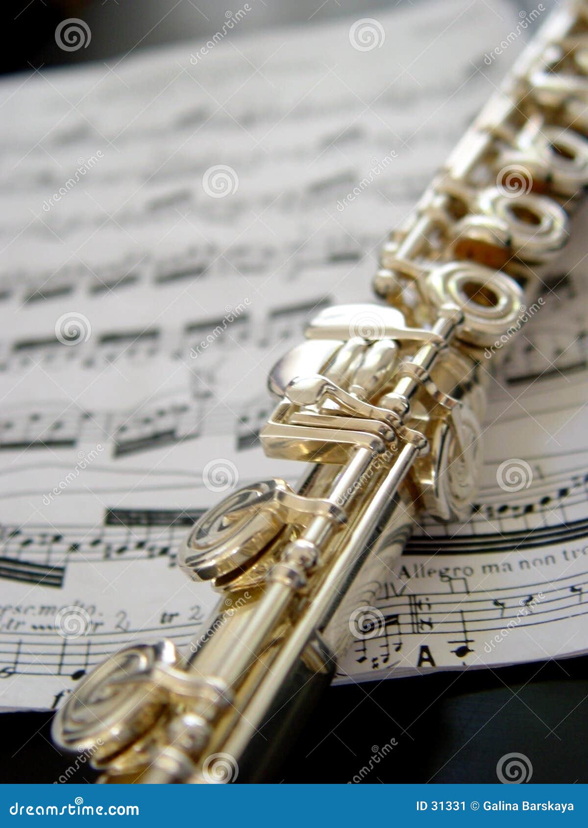 Flauta imagen de archivo. Imagen de musical, concierto, nota - 31331