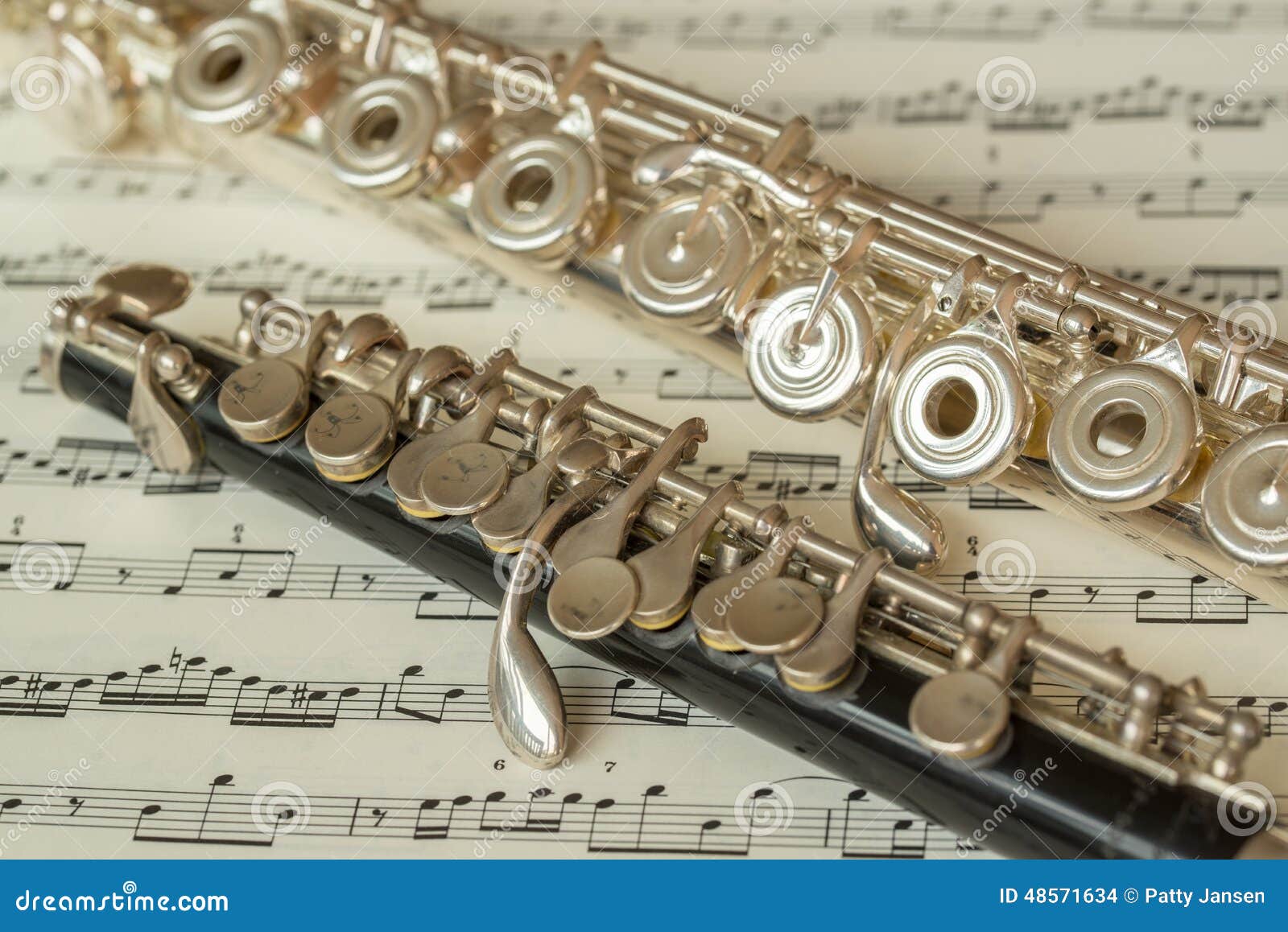 Flauto ed ottavino fotografia stock. Immagine di scanalatura - 48571634