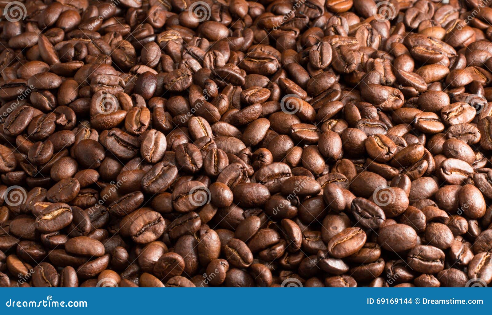 Beans Placers Stock Photos - Free & Royalty-Free Stock Photos from ...