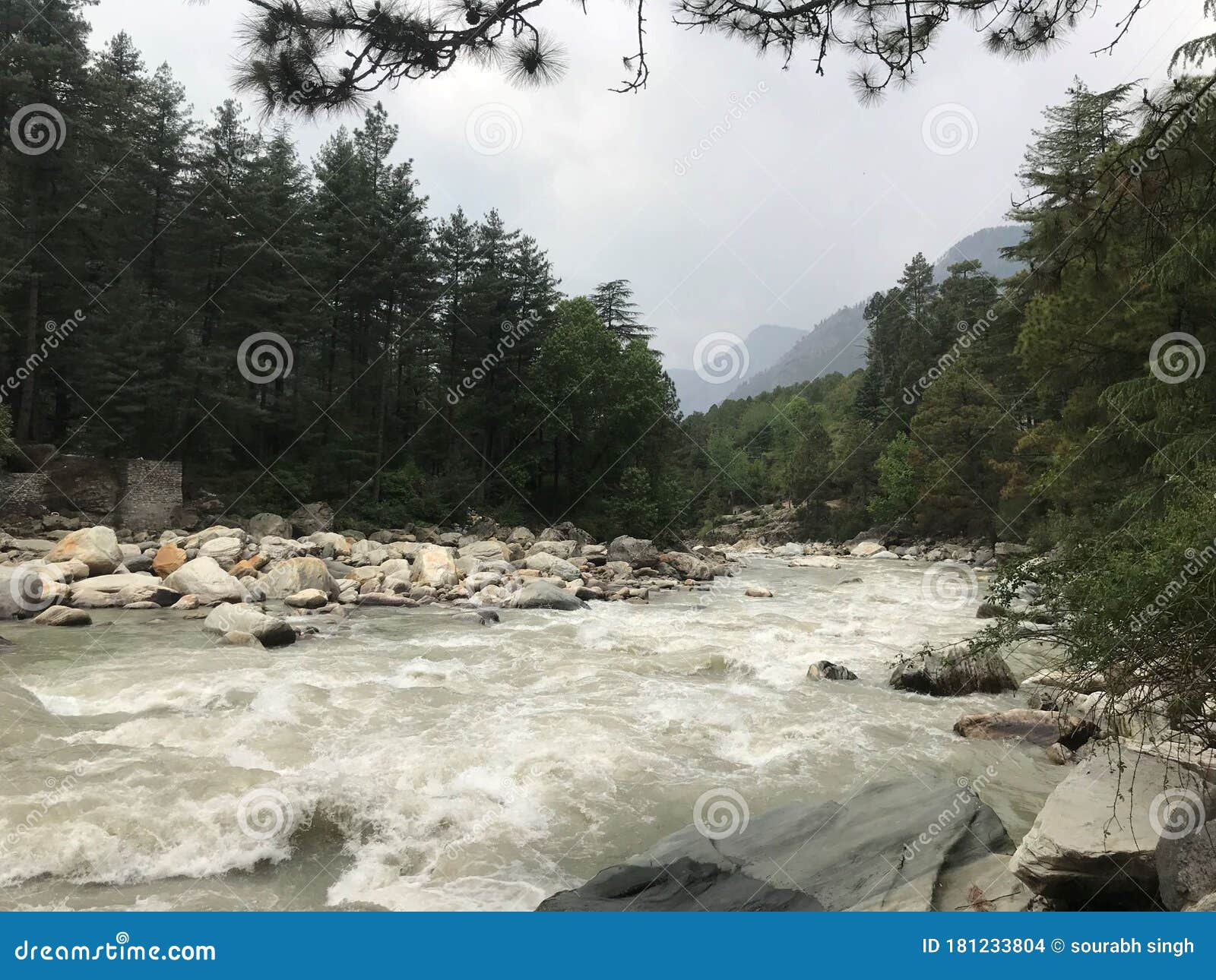 Flawless Flow of River in the Valley Stock Photo - Image of plant ...