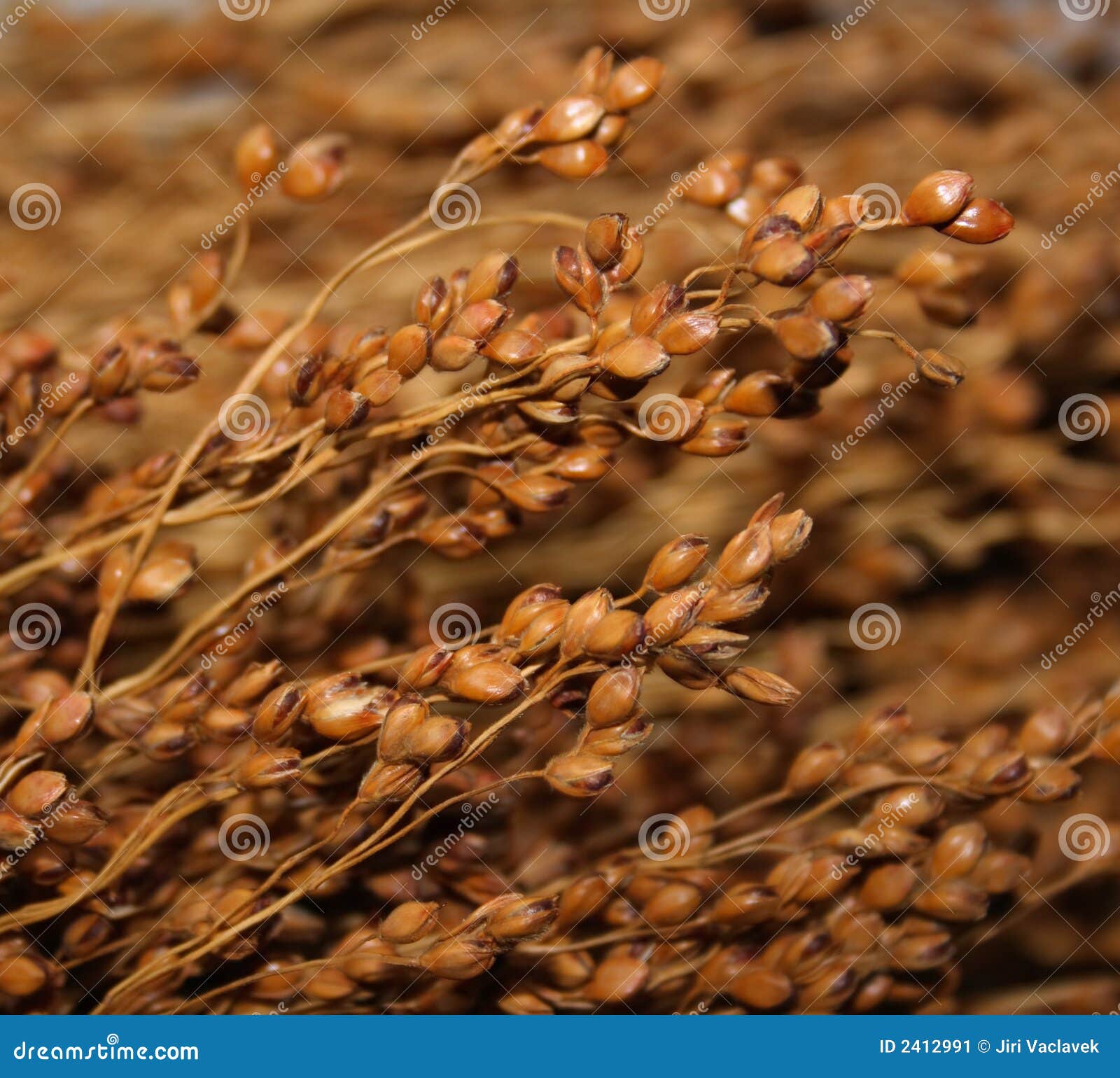 Flax background stock image. Image of texture, detail - 2412991