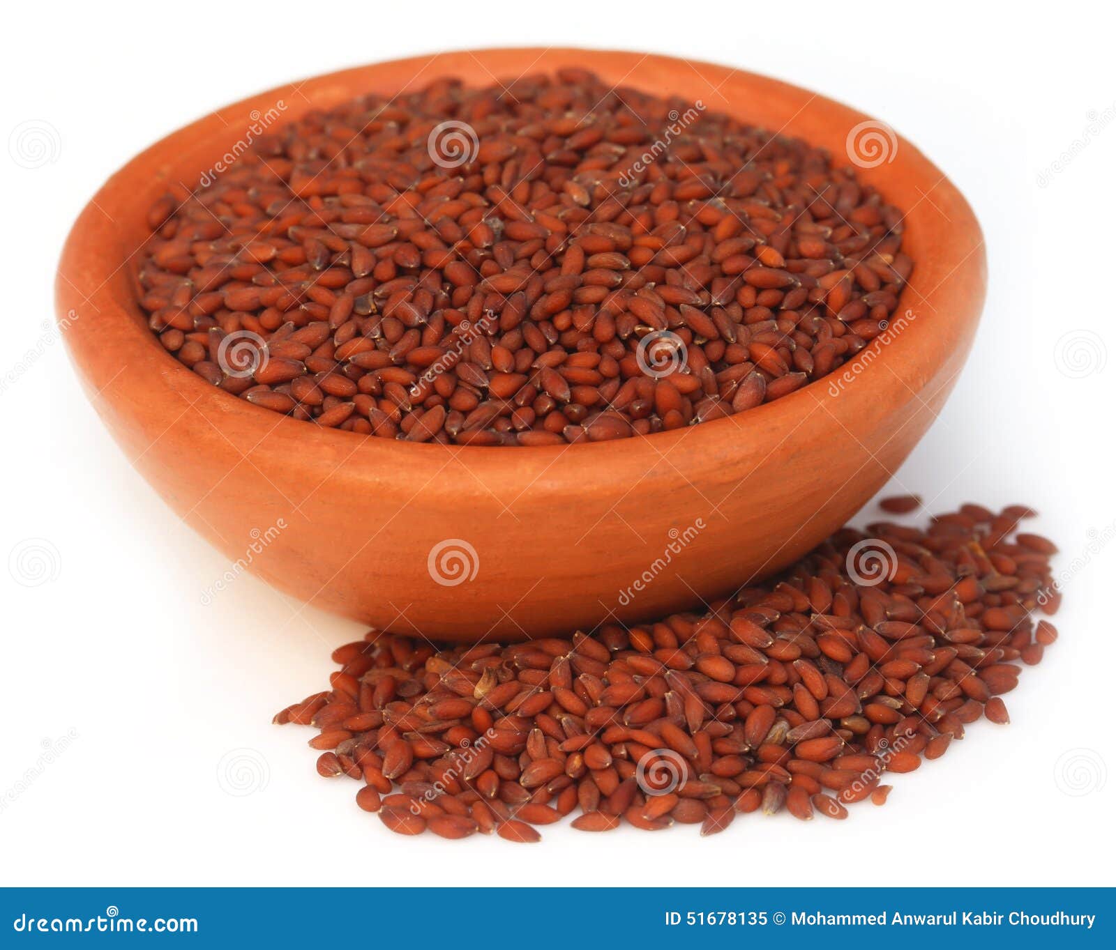 Flax or edible tisi seeds stock image. Image of linum - 51678135