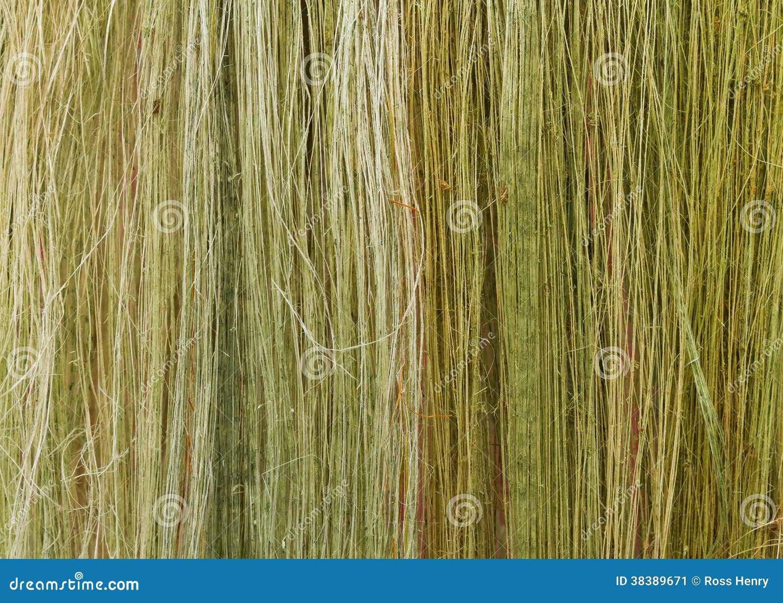 Flax Fiber stock image. Image of fibre, texture, drying - 38389671