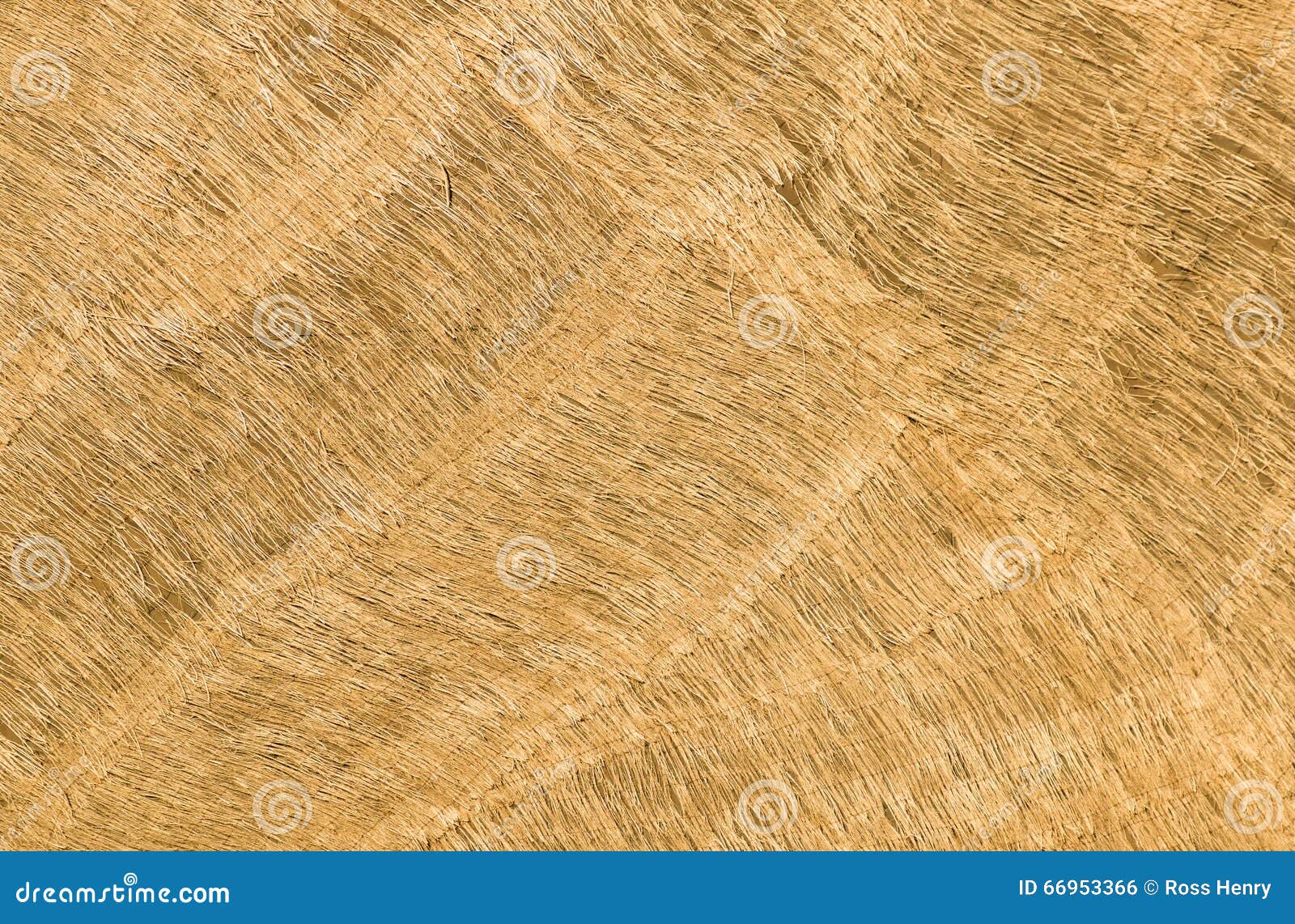 Flax Fiber Texture stock photo. Image of layers, flax - 66953366