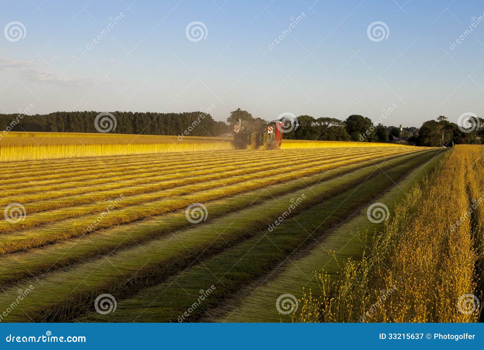 Flax Fields in Normandy, France Stock Image - Image of france, agricole ...