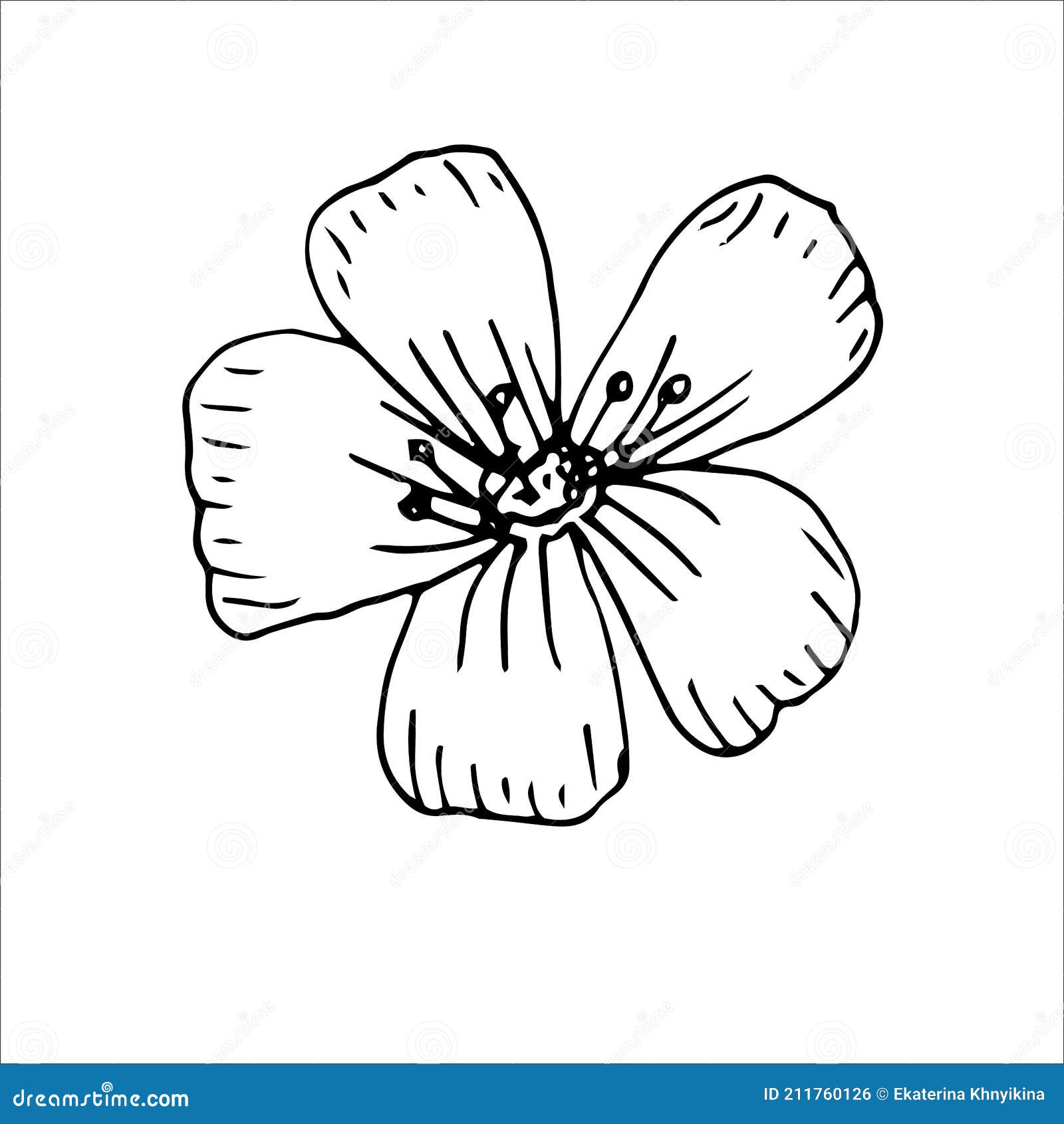 Flax Flower, Vector Illustration, Hand Drawing, Sketch Stock Vector ...