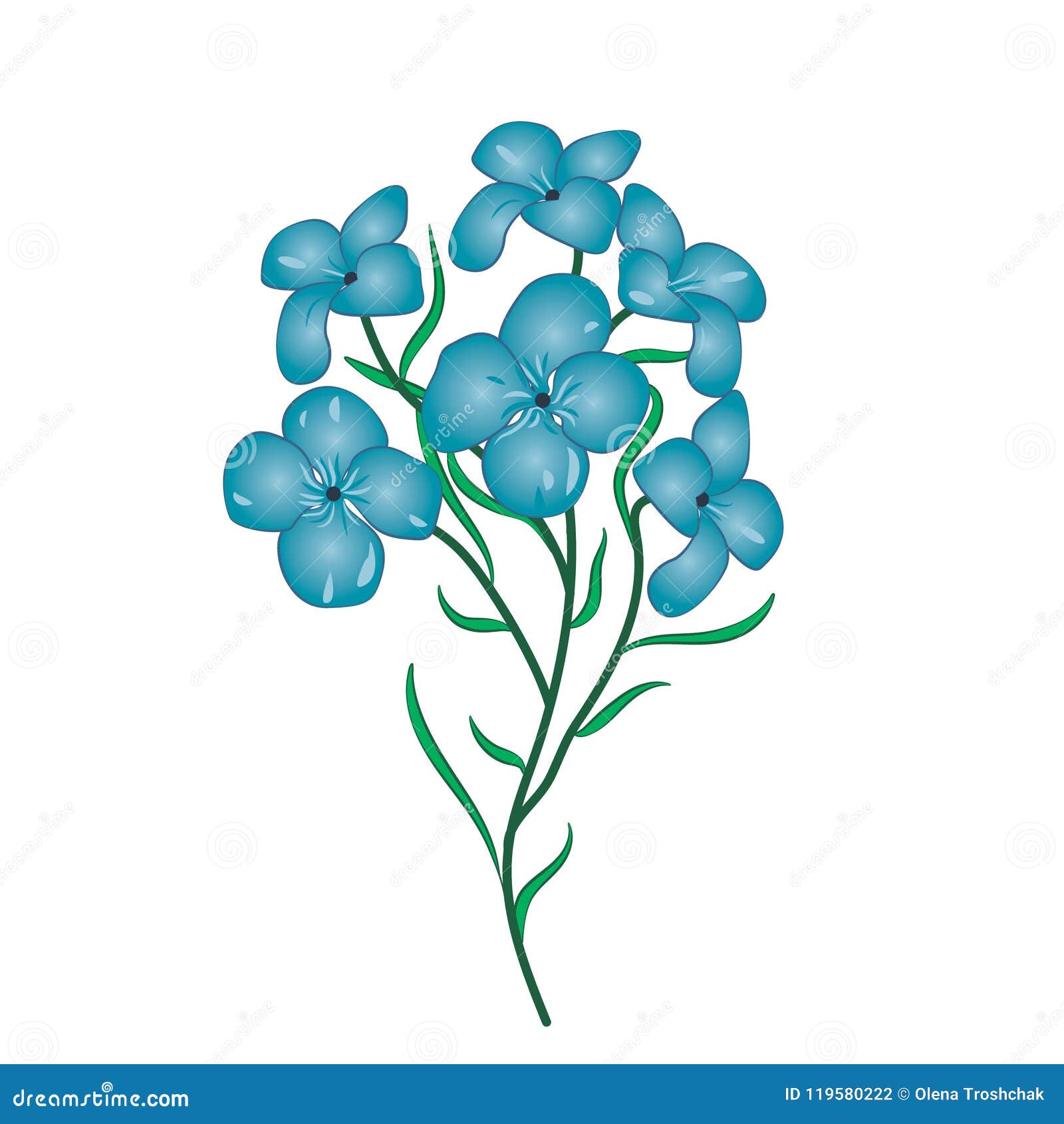 Flax Flower Vector Illustration Stock Vector - Illustration of flower ...