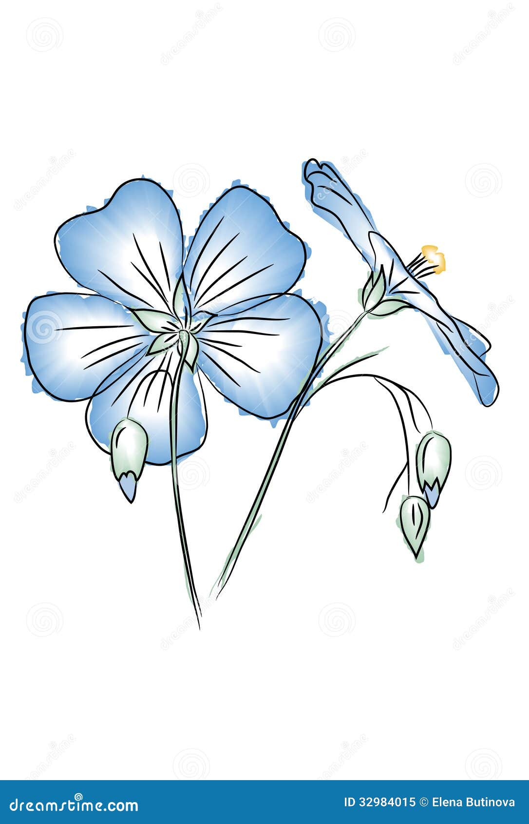 Flax Flower in Watercolor Style Stock Vector - Illustration of plant ...