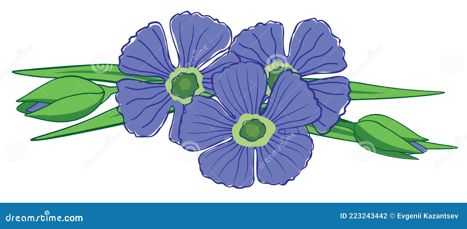 Flax Flowers. Handmade Vector Graphics Stock Vector - Illustration of ...