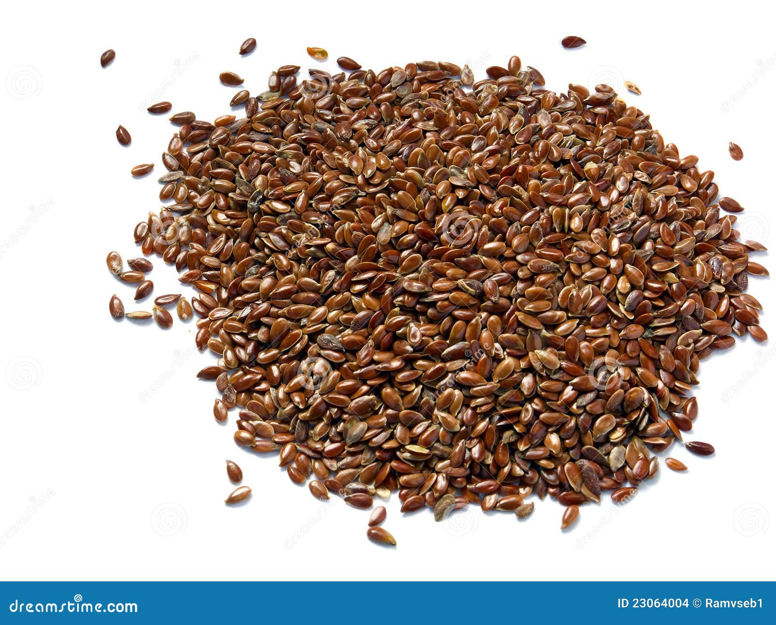 Flax seed stock photo. Image of fresh, dried, grain, detail - 23064004