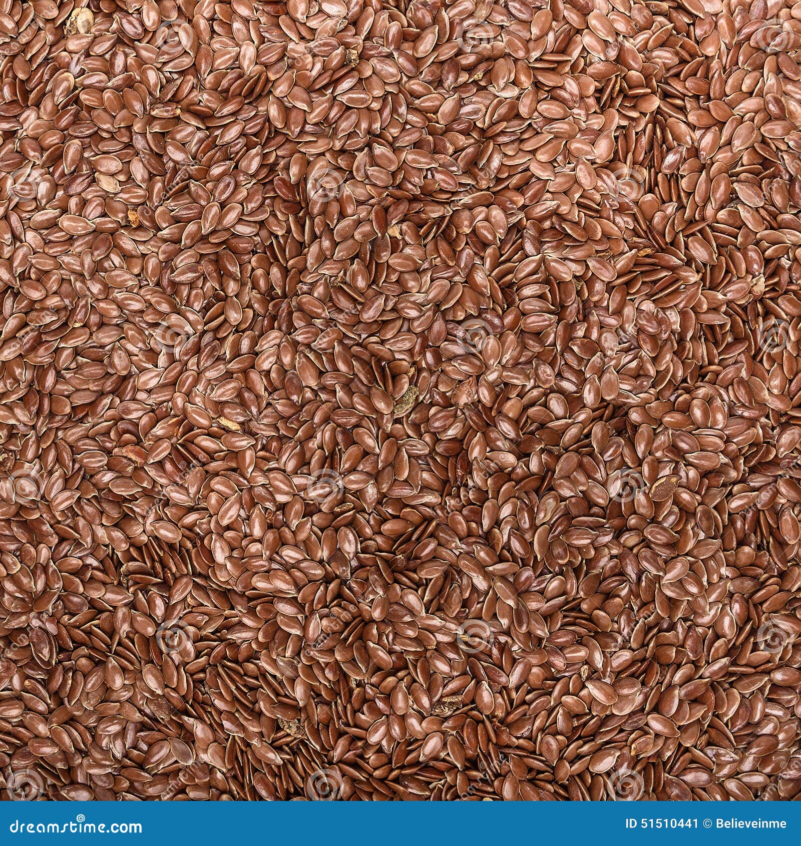 Flax seed stock image. Image of texture, vegetarian, flaxseed - 51510441