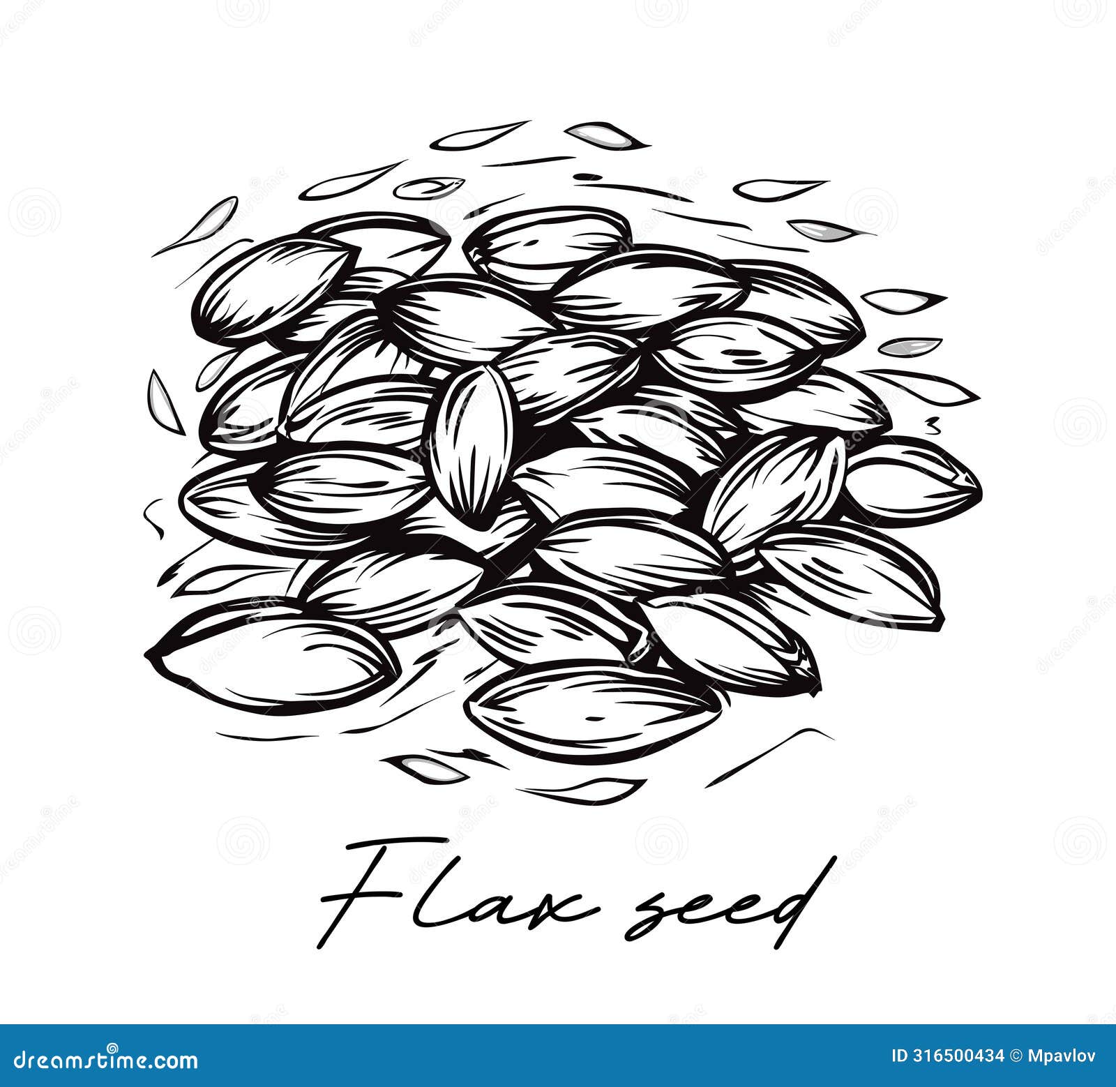 Flax Seed Hand Drawn Black and White Vector Stock Vector - Illustration ...