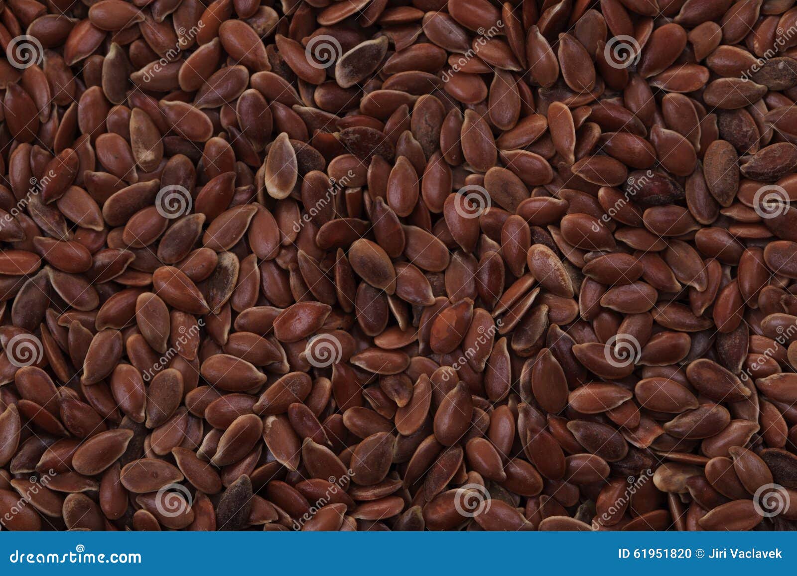 Flax seed texture stock photo. Image of agriculture, uncooked - 61951820