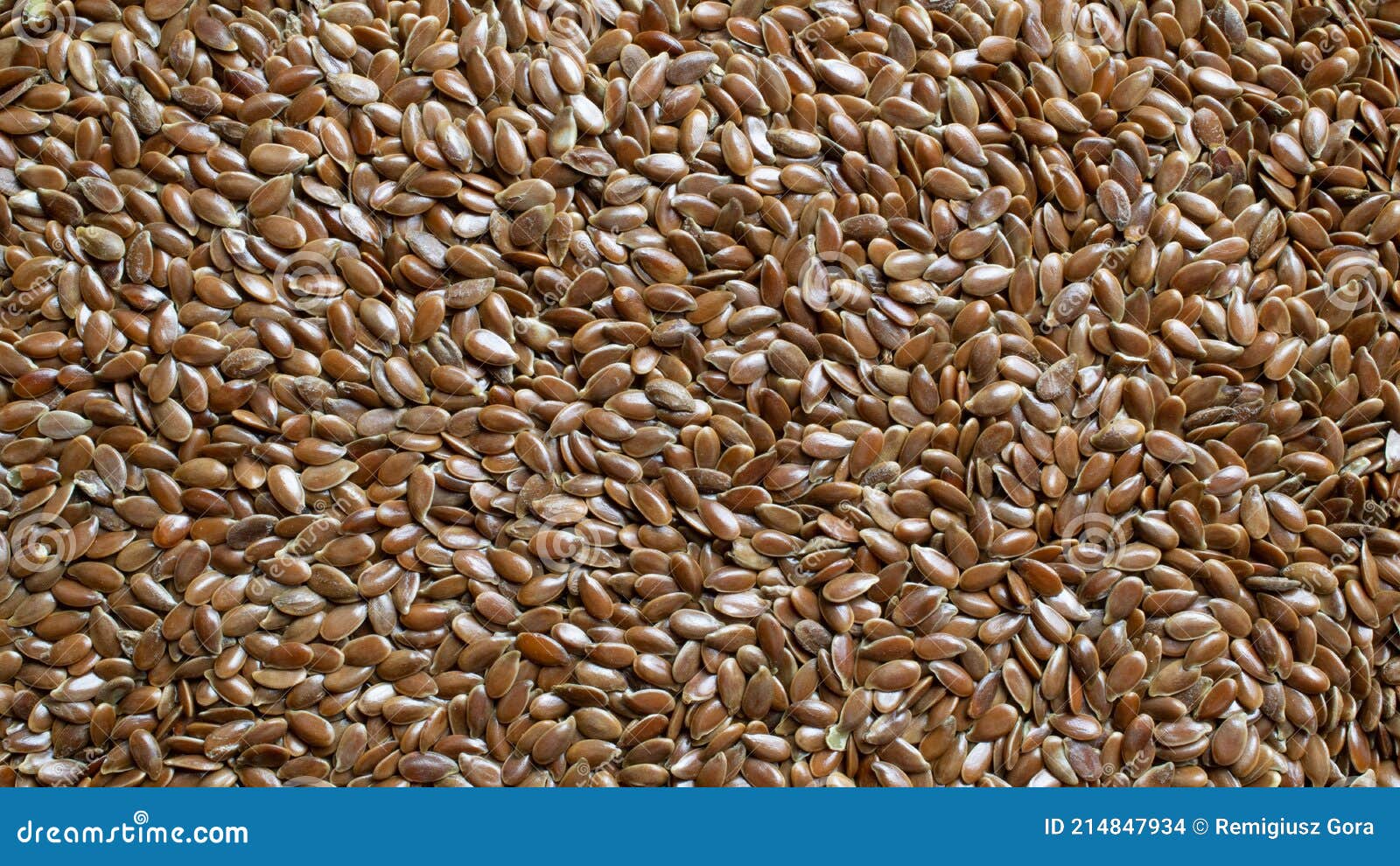 Flax Seed Wallpaper from Seed Stock Photo - Image of cereal, flax ...
