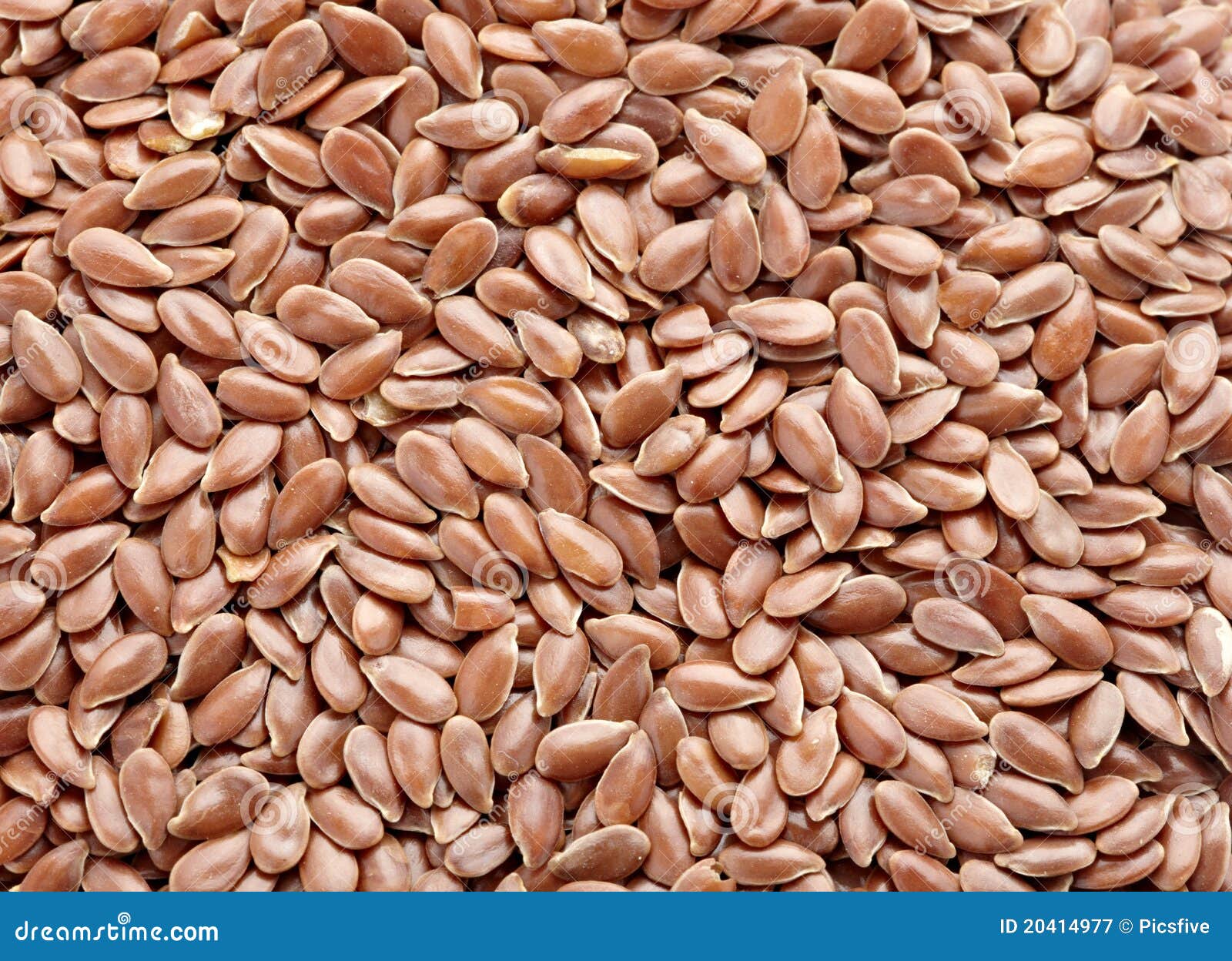 Flax seeds stock image. Image of bunch, dietary, healthy - 20414977