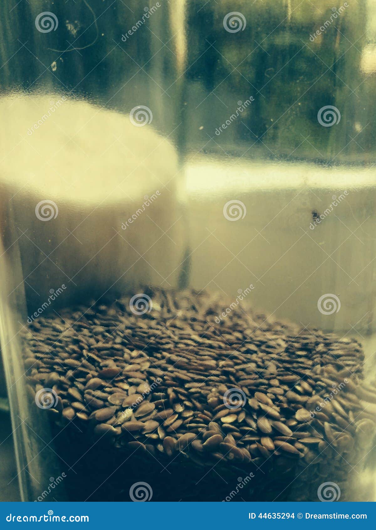 Flax Seeds stock photo. Image of hemp, bottles, dark - 44635294