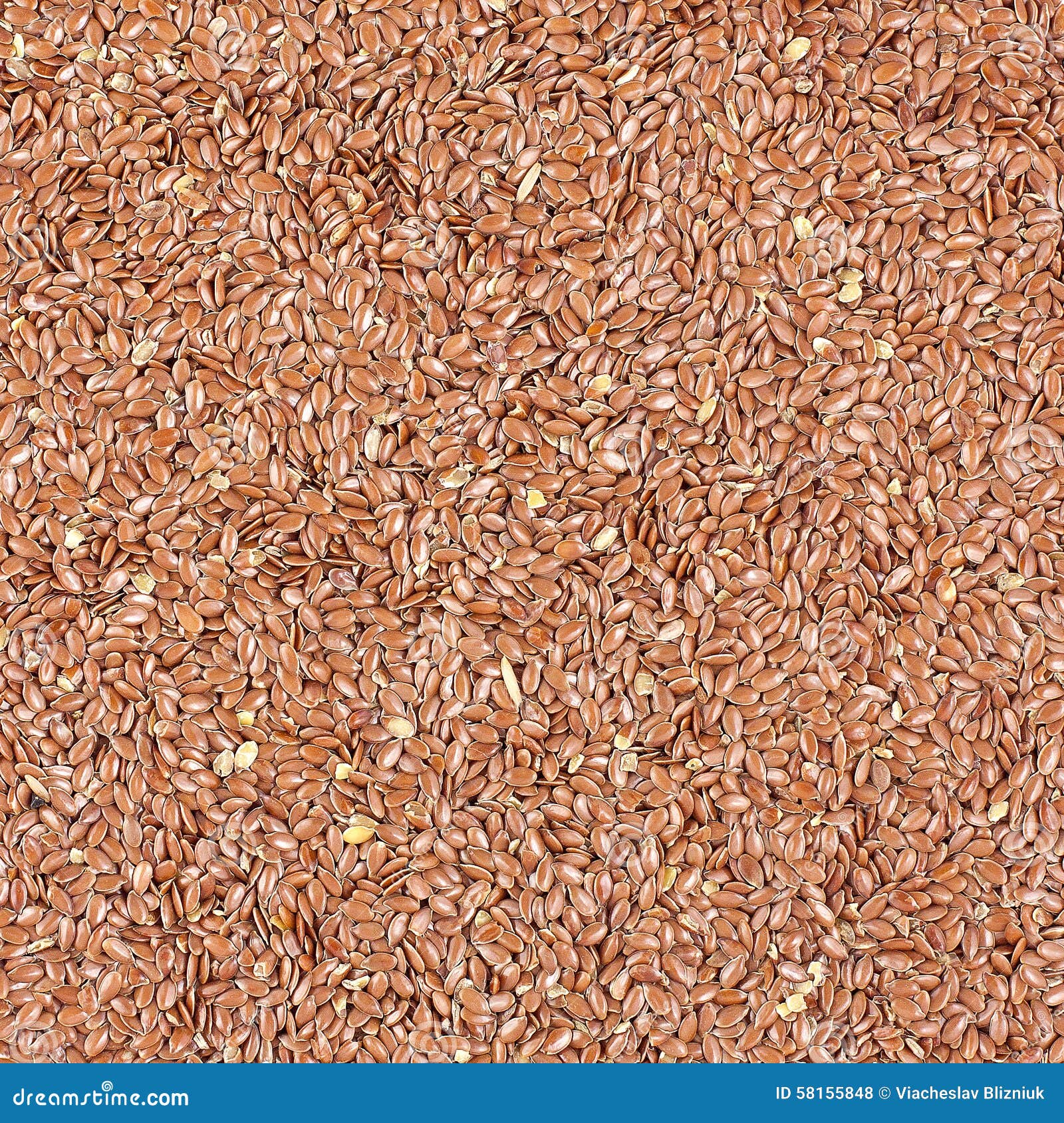 Flax Seeds Isolated on White Background Stock Photo - Image of medical ...