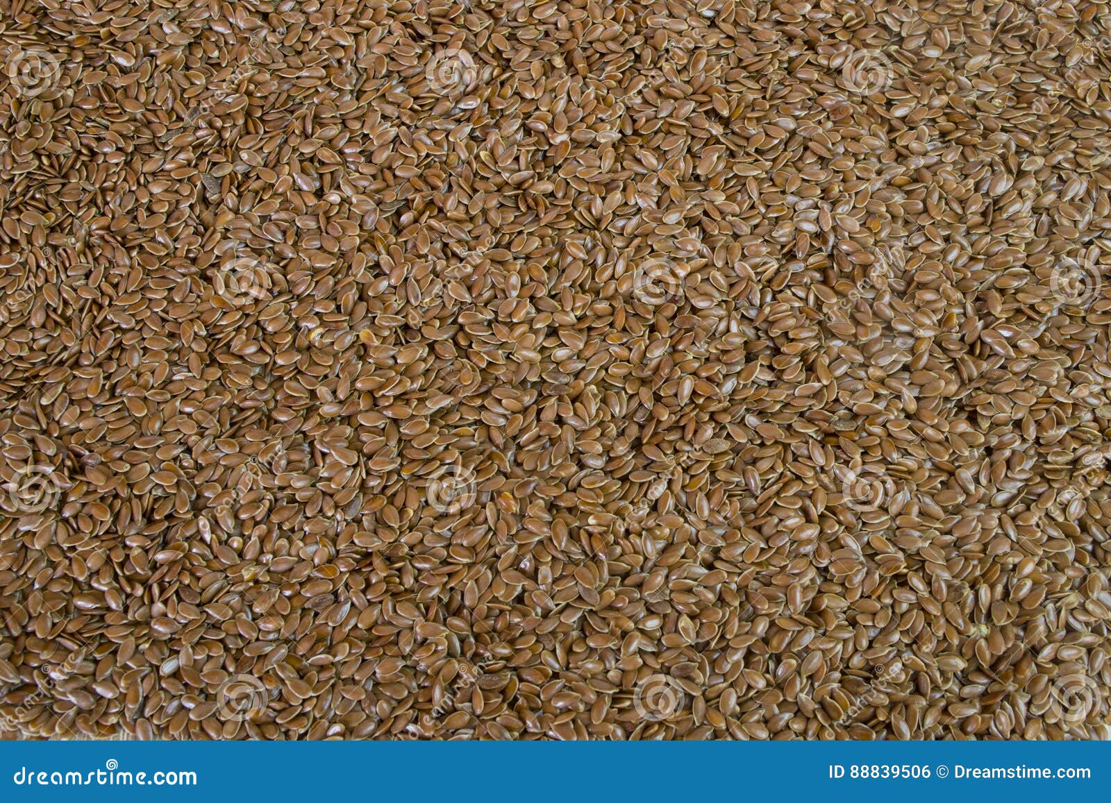 Flax seeds stock photo. Image of food, small, seeds, color - 88839506
