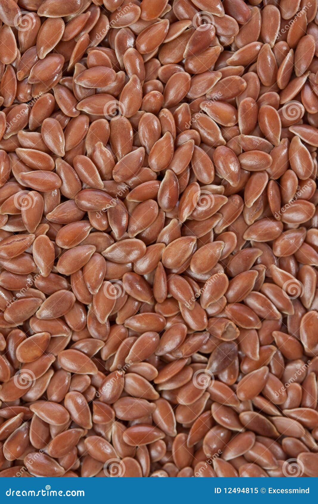 105,564 Seeds Texture Stock Photos - Free & Royalty-Free Stock Photos ...