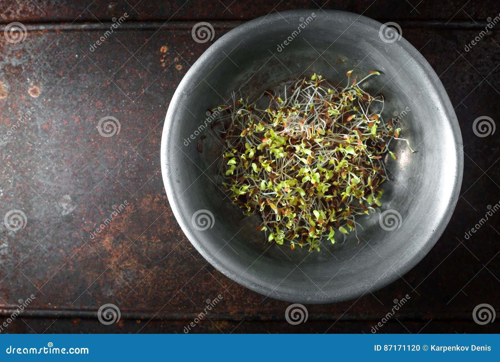 Flax Sprouts in a Bowl on a Metal Table Copy Space Stock Photo - Image ...