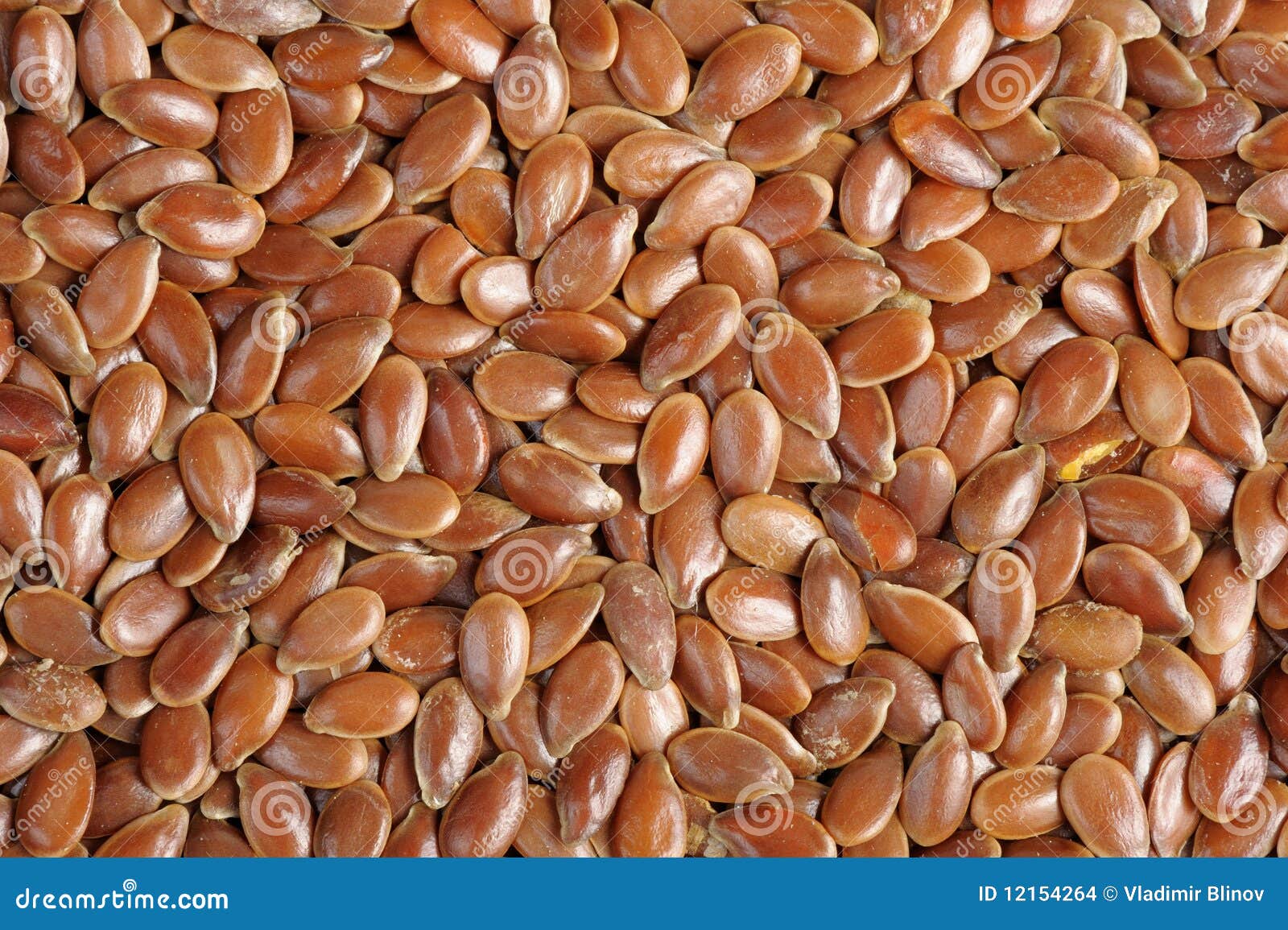 Flaxseed stock photo. Image of field, grains, close, growth - 12154264