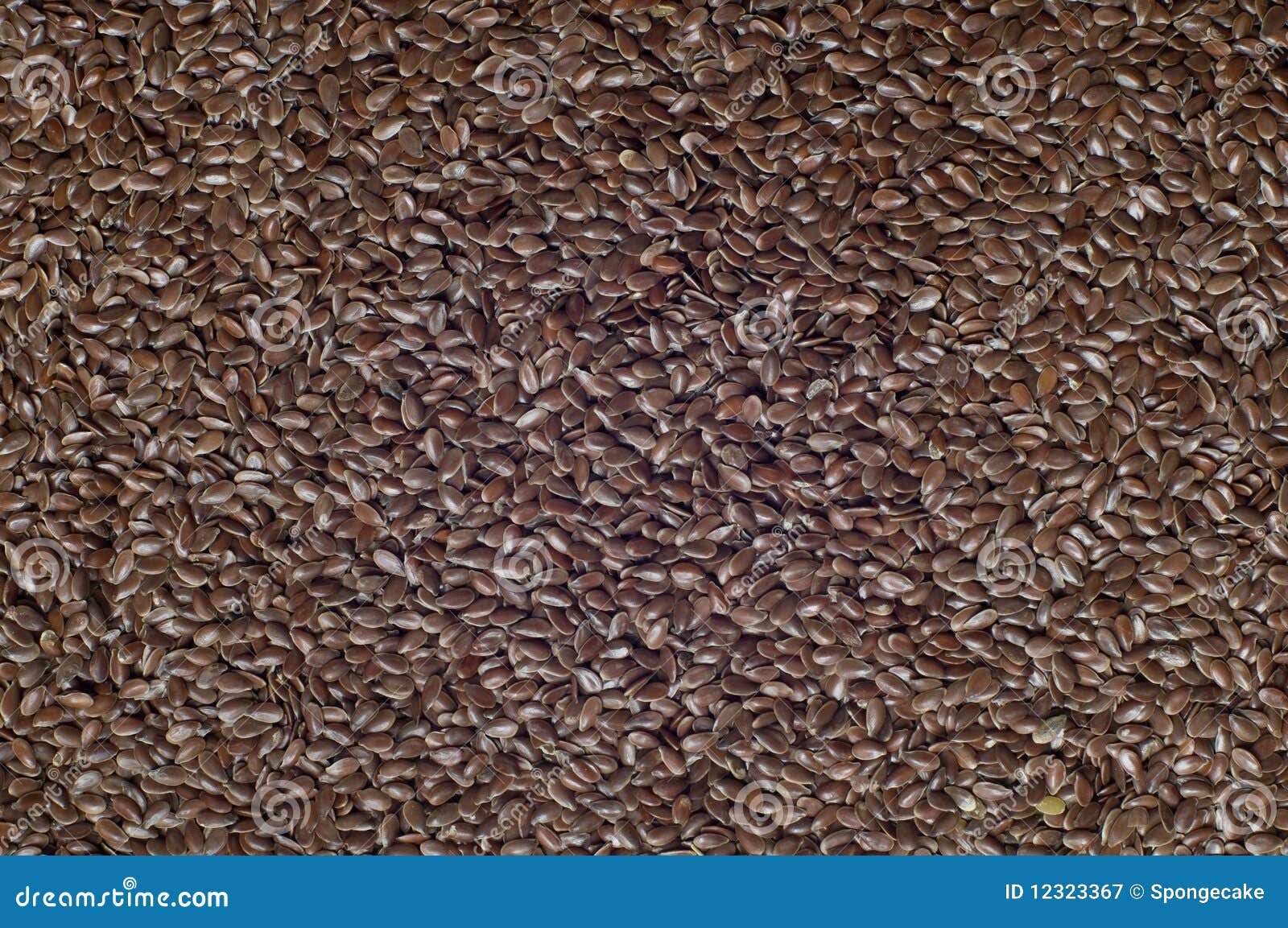 Flaxseed stock image. Image of seed, grain, pattern, organic - 12323367