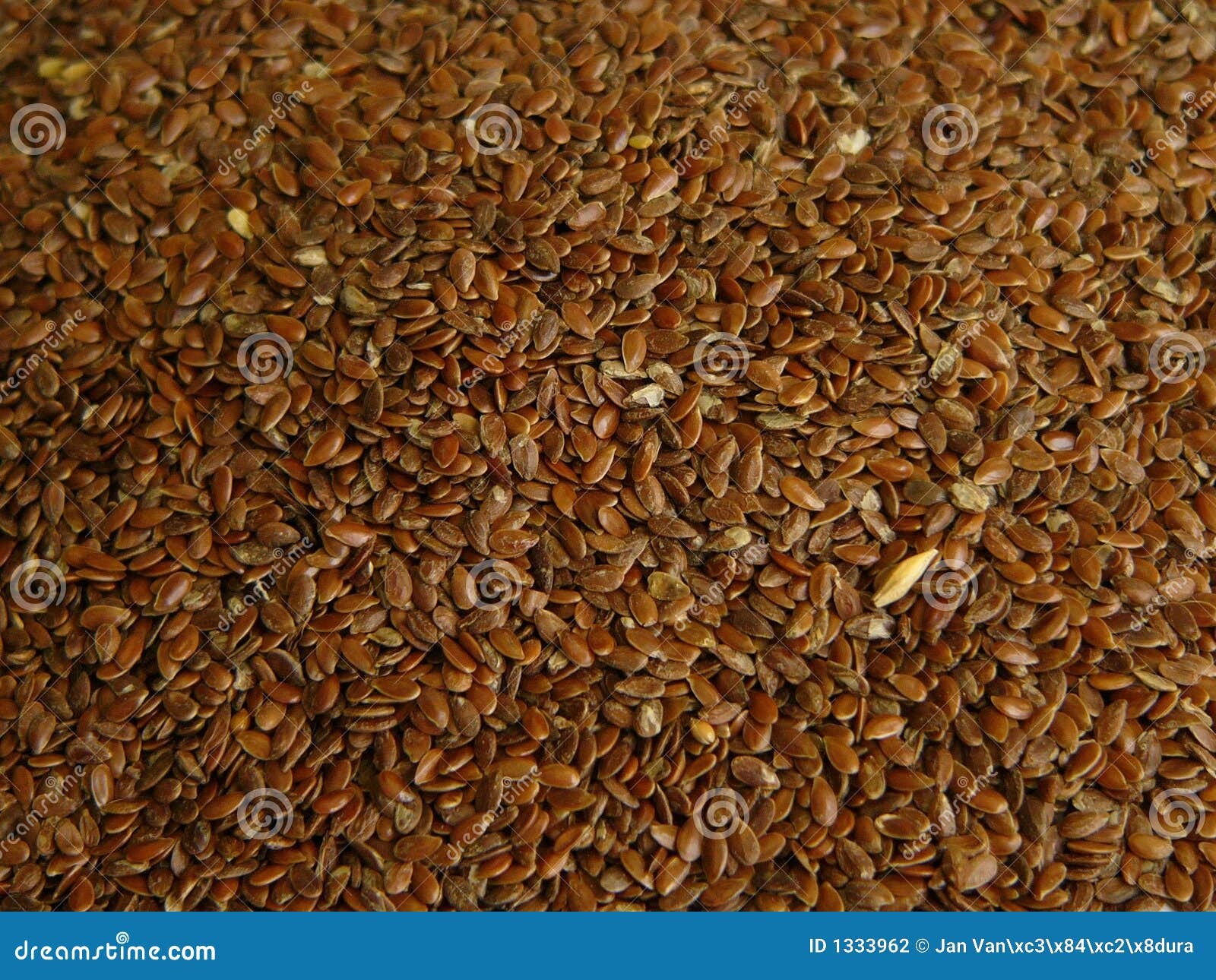 Flaxseed stock photo. Image of seed, texture, lino, isolated - 1333962