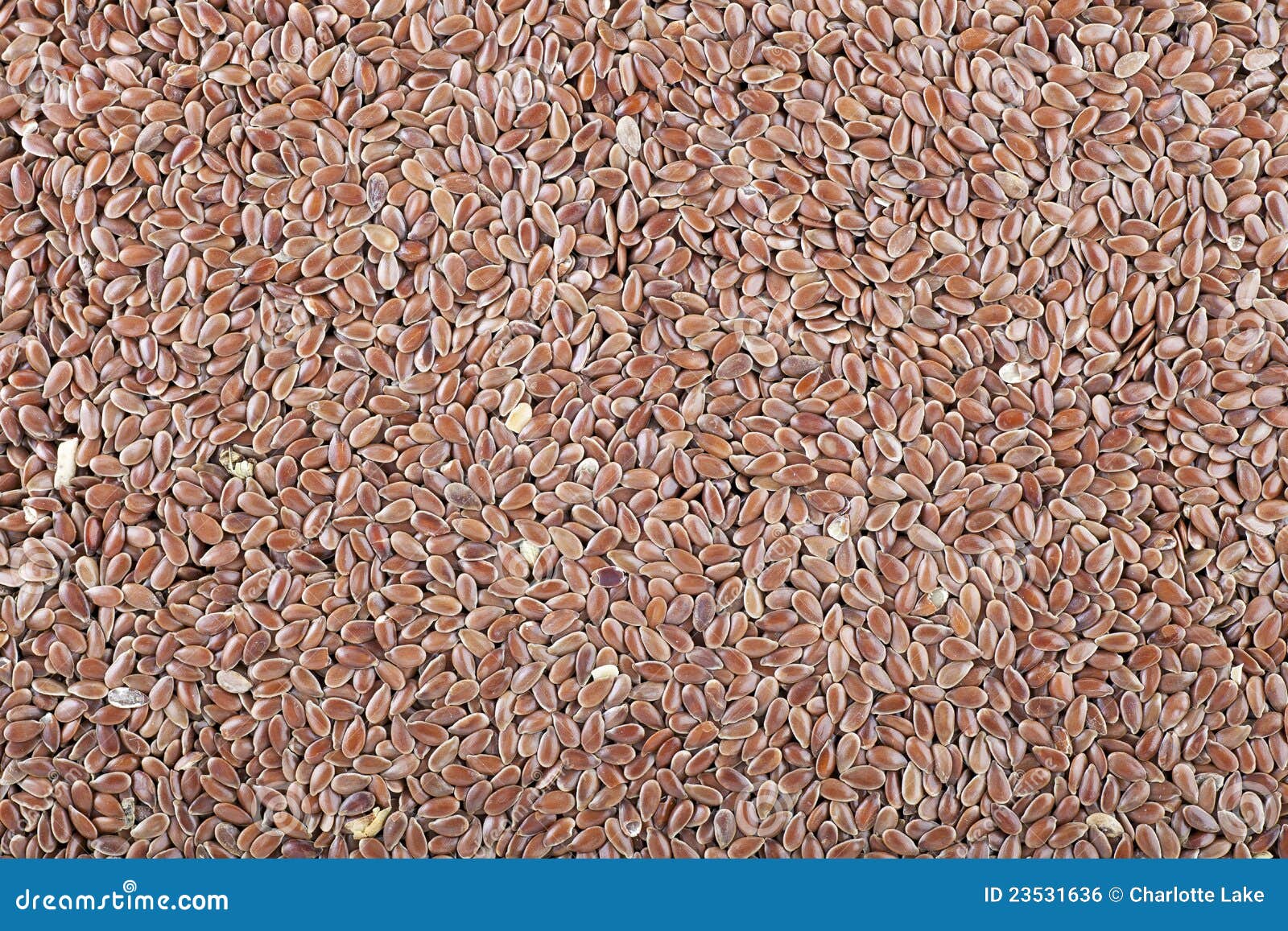 Flaxseed Background stock photo. Image of health, food - 23531636