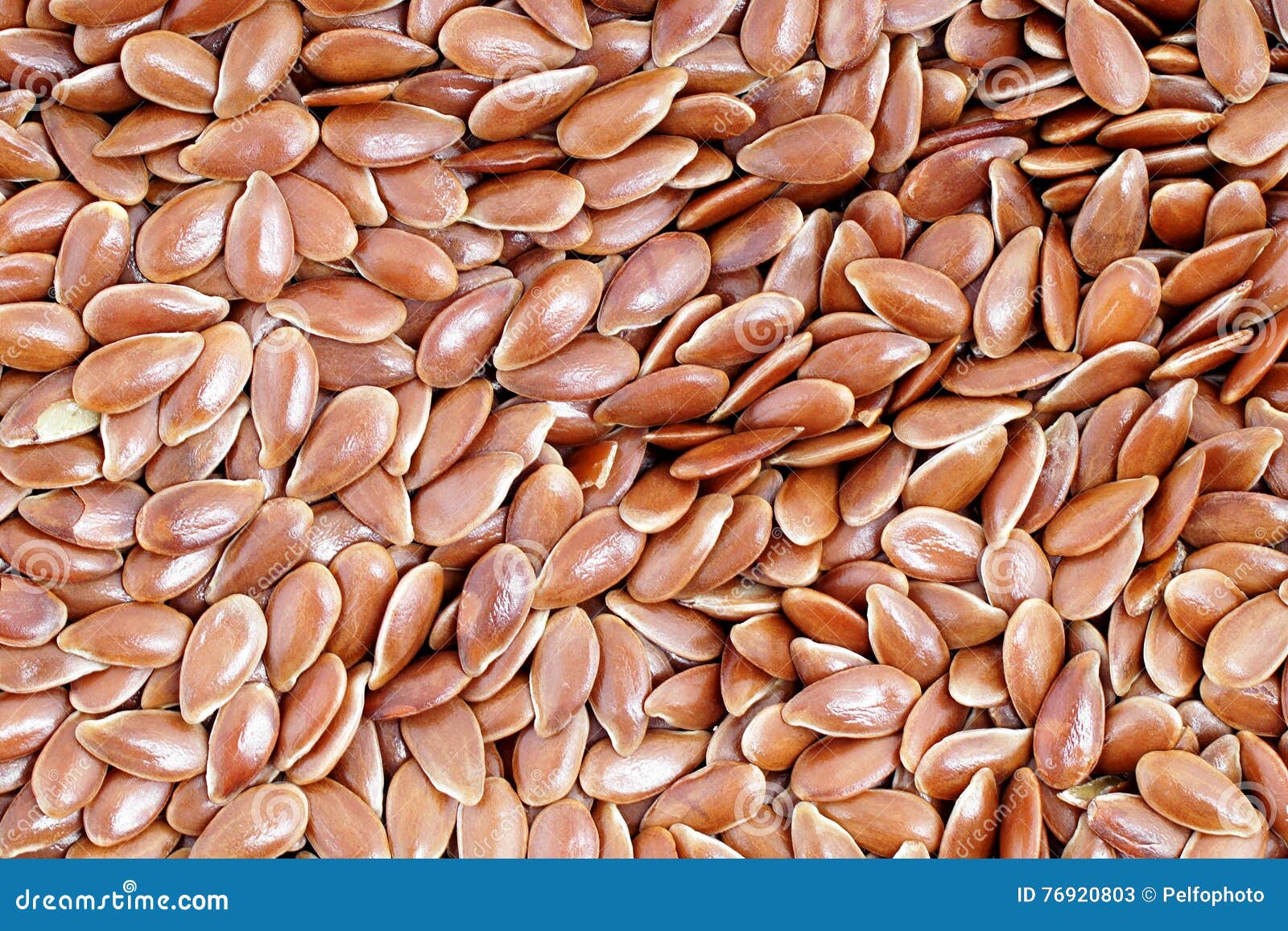 Flaxseeds. stock image. Image of industry, industries - 76920803