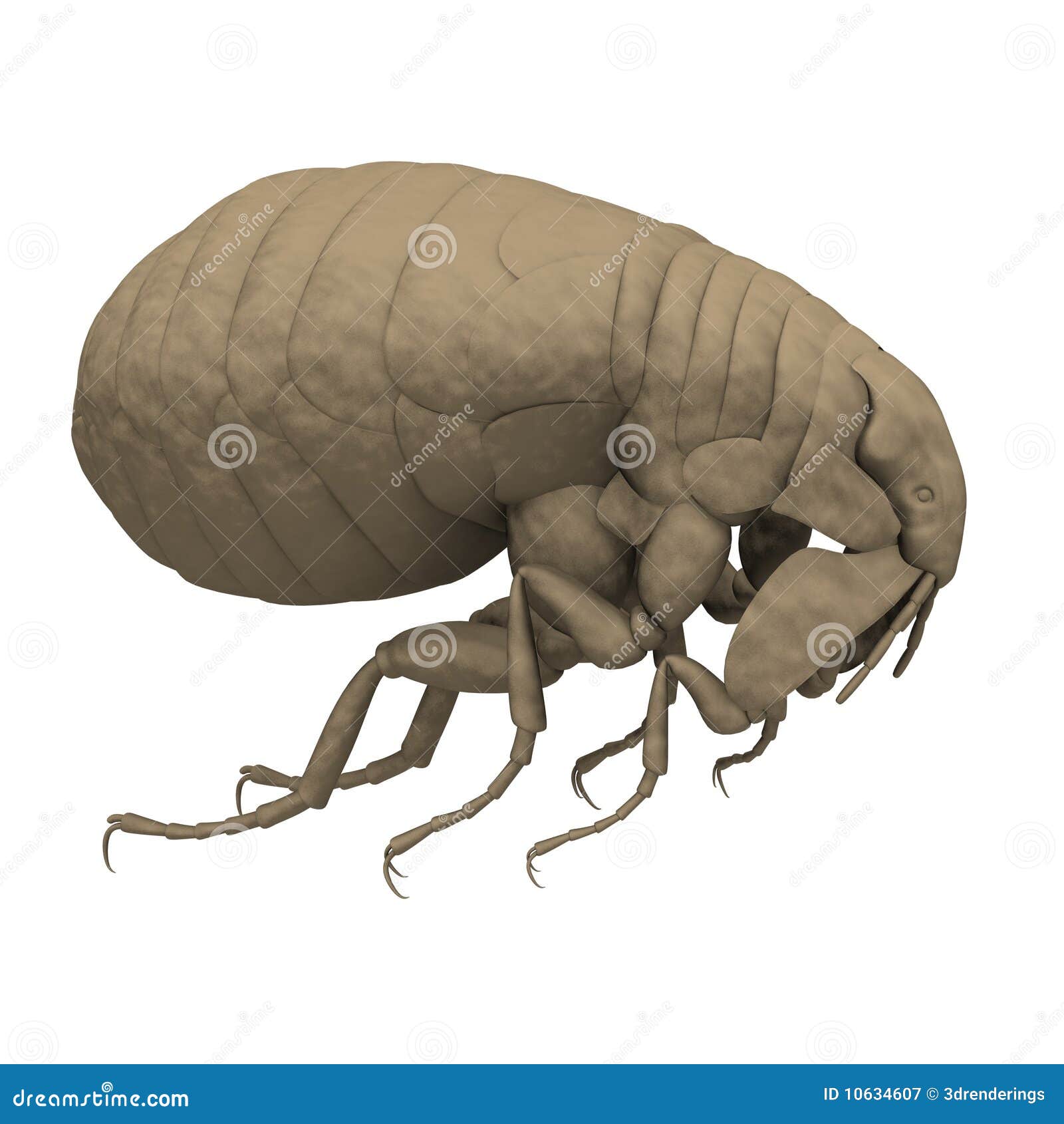 Parazite Stock Illustrations – 5 Parazite Stock Illustrations, Vectors ...