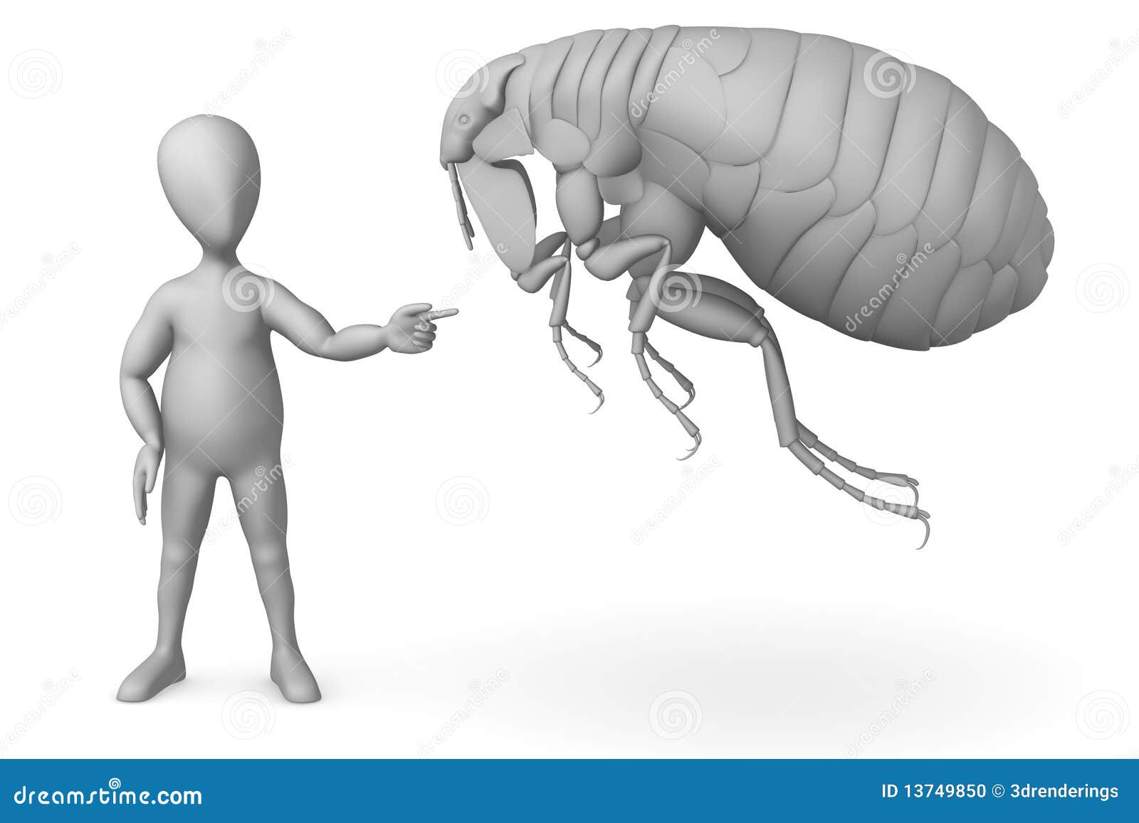 Flea stock illustration. Illustration of cartoon, toon - 13749850