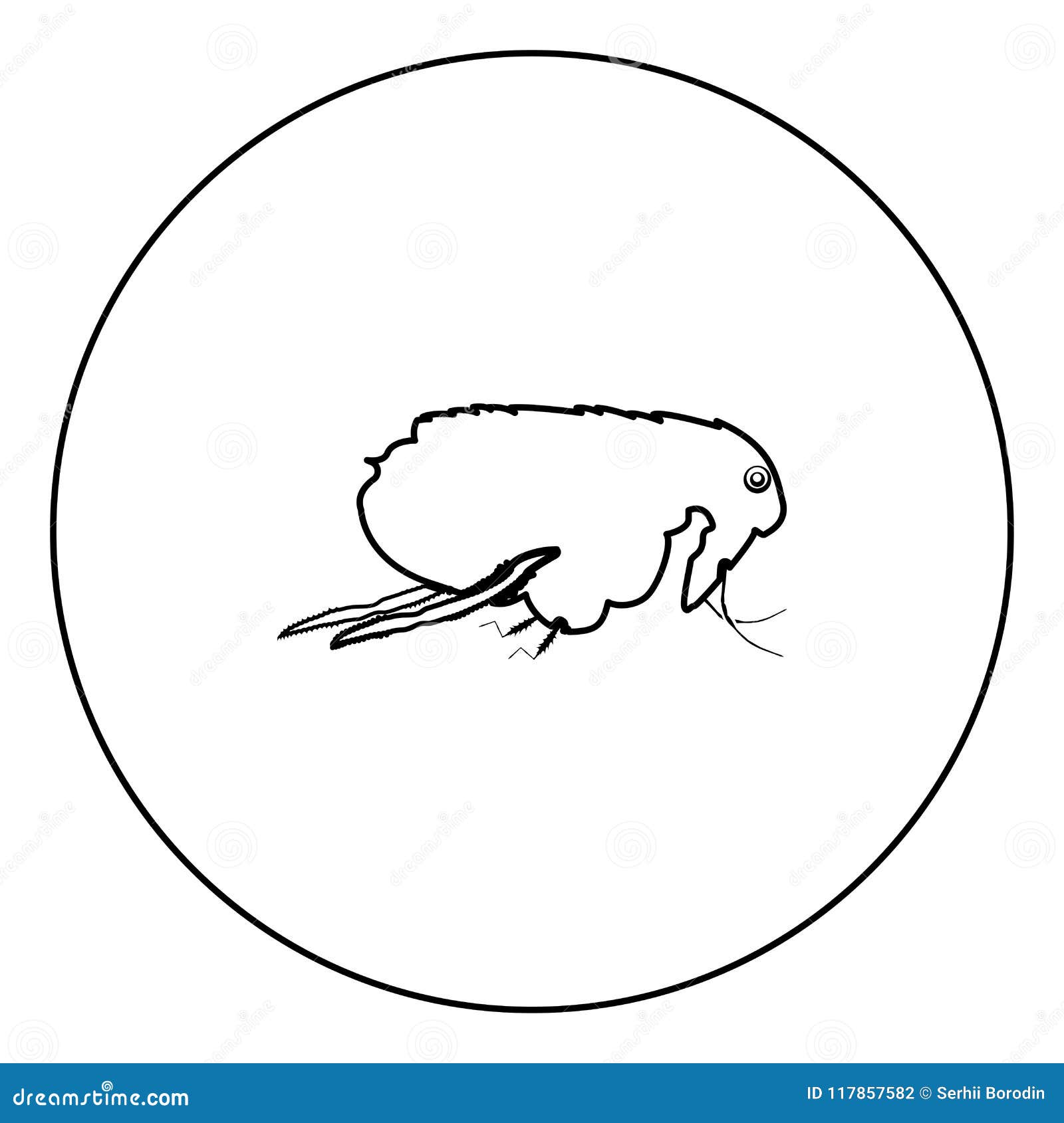 Flea Black Icon Outline in Circle Image Stock Vector - Illustration of ...