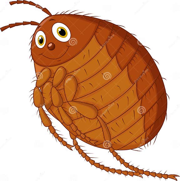 Flea cartoon stock vector. Illustration of fauna, aggressive - 36399770