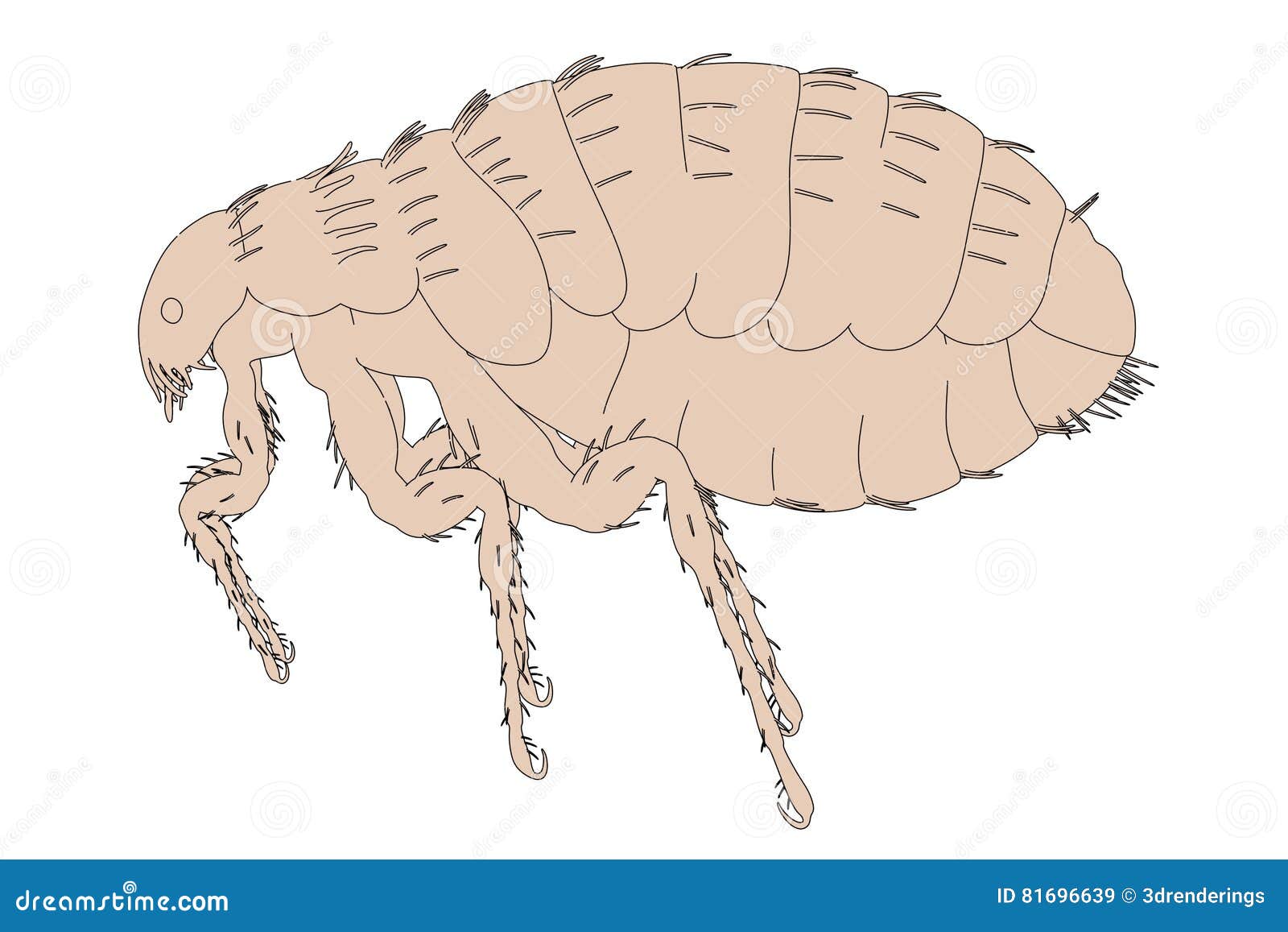Flea stock illustration. Illustration of cartoon, parasite - 81696639