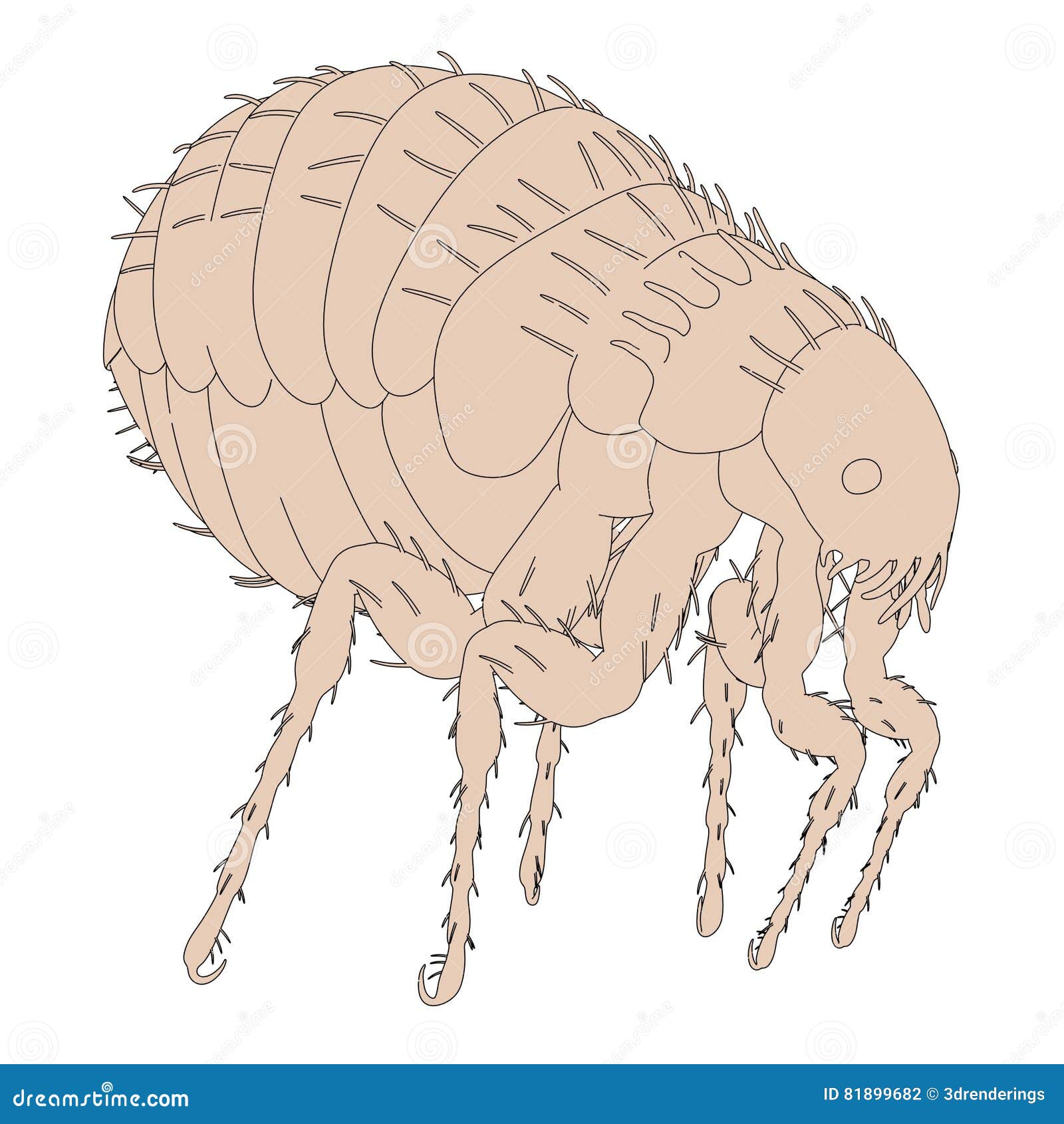 Flea stock illustration. Illustration of cartoon, pulex - 81899682