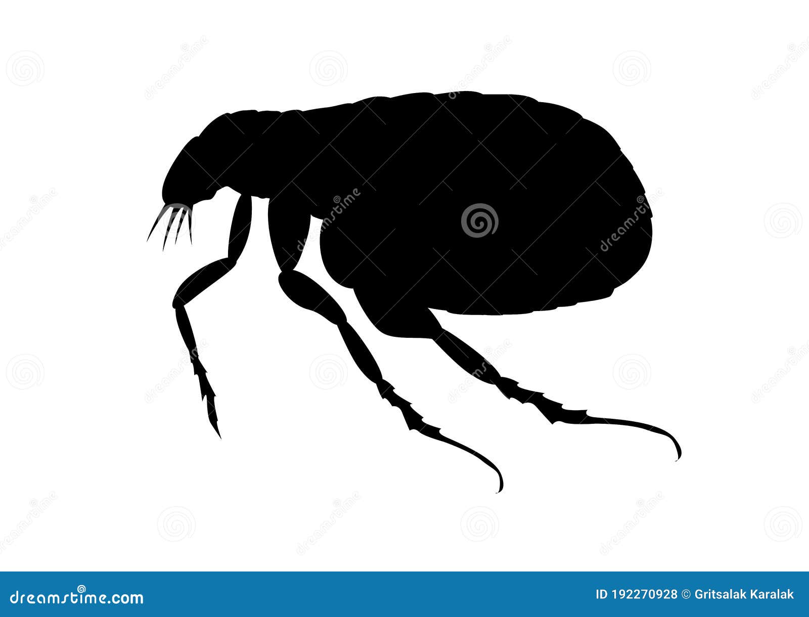 Flea Icon Vector From Veterinary Concept. Thin Line Illustration Of ...