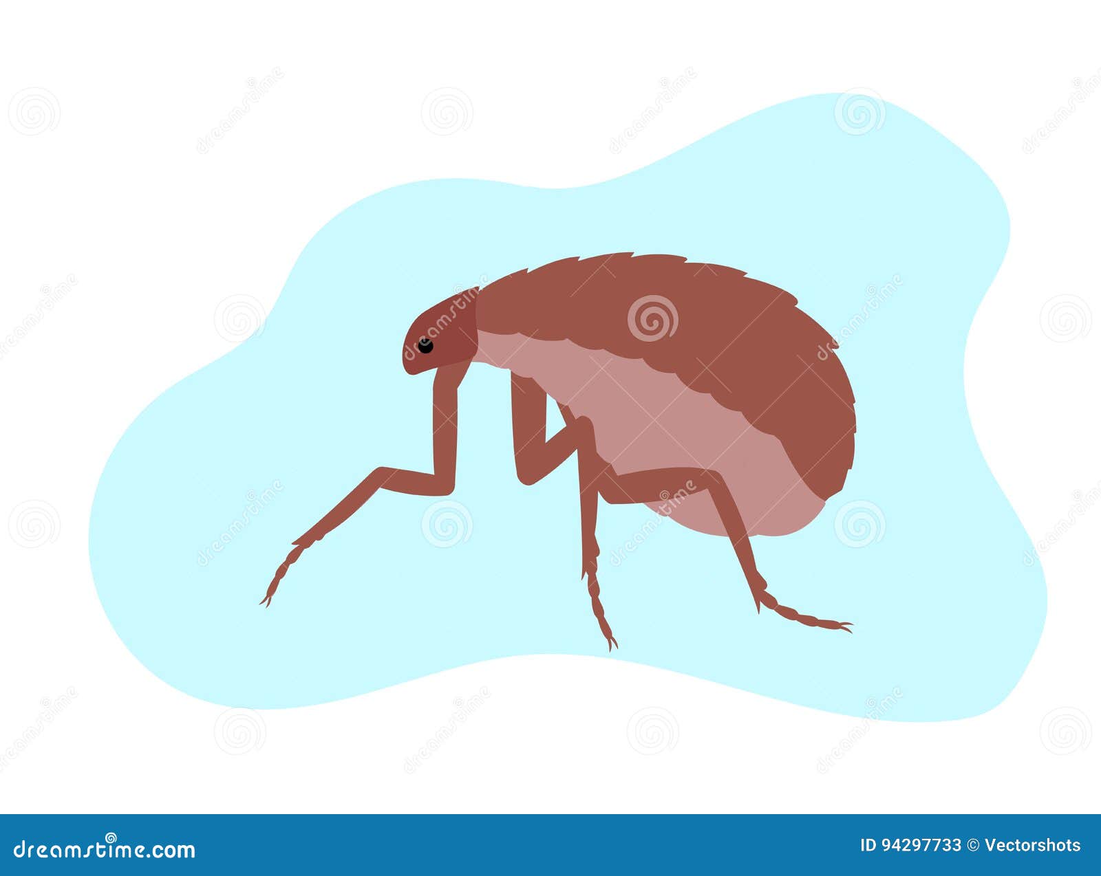 Flea Insect stock vector. Illustration of isolated, creature - 94297733