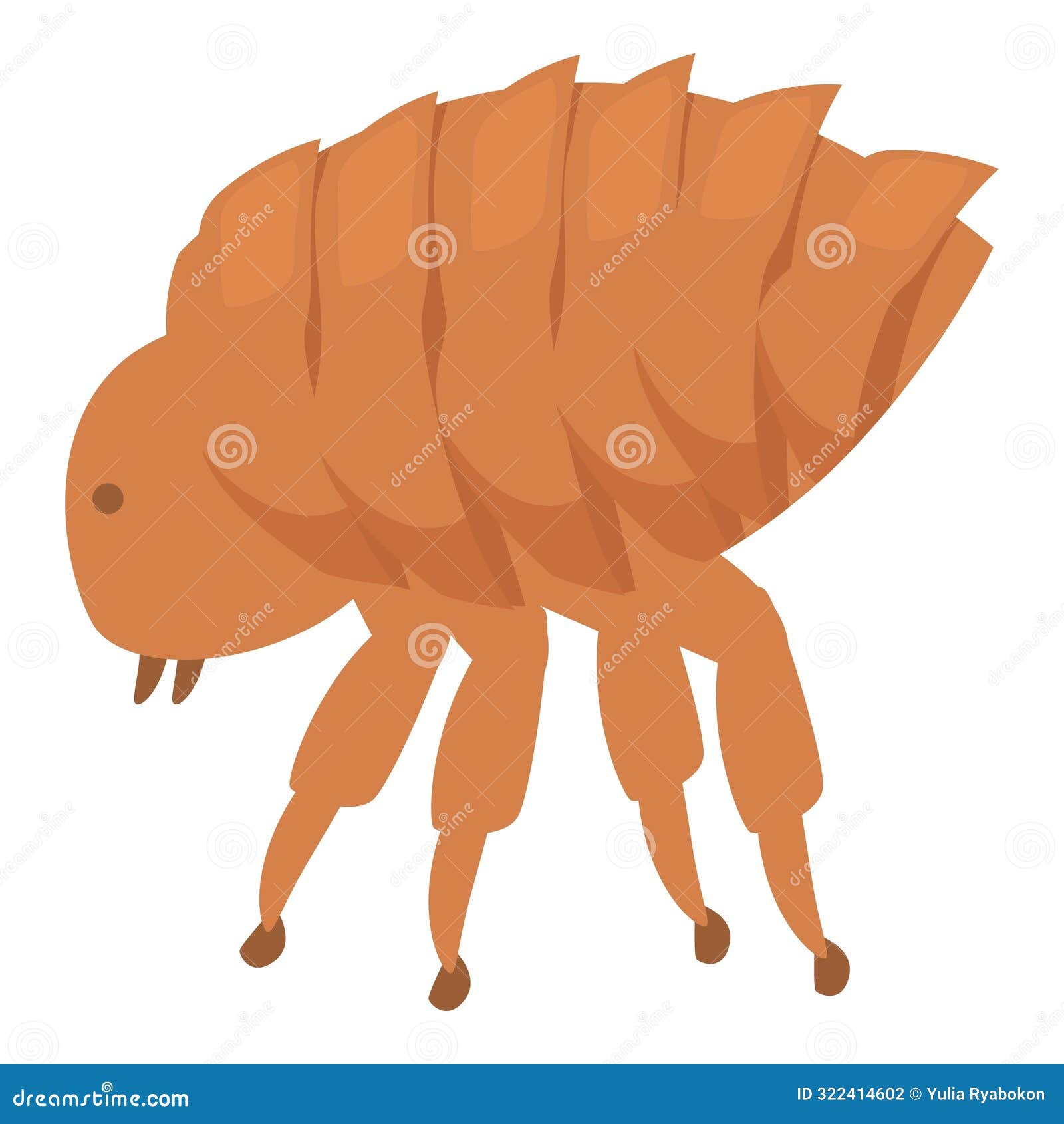 Flea Insect Walking Spreading Disease through Bite Stock Vector - Illustration of bloodsucker ...