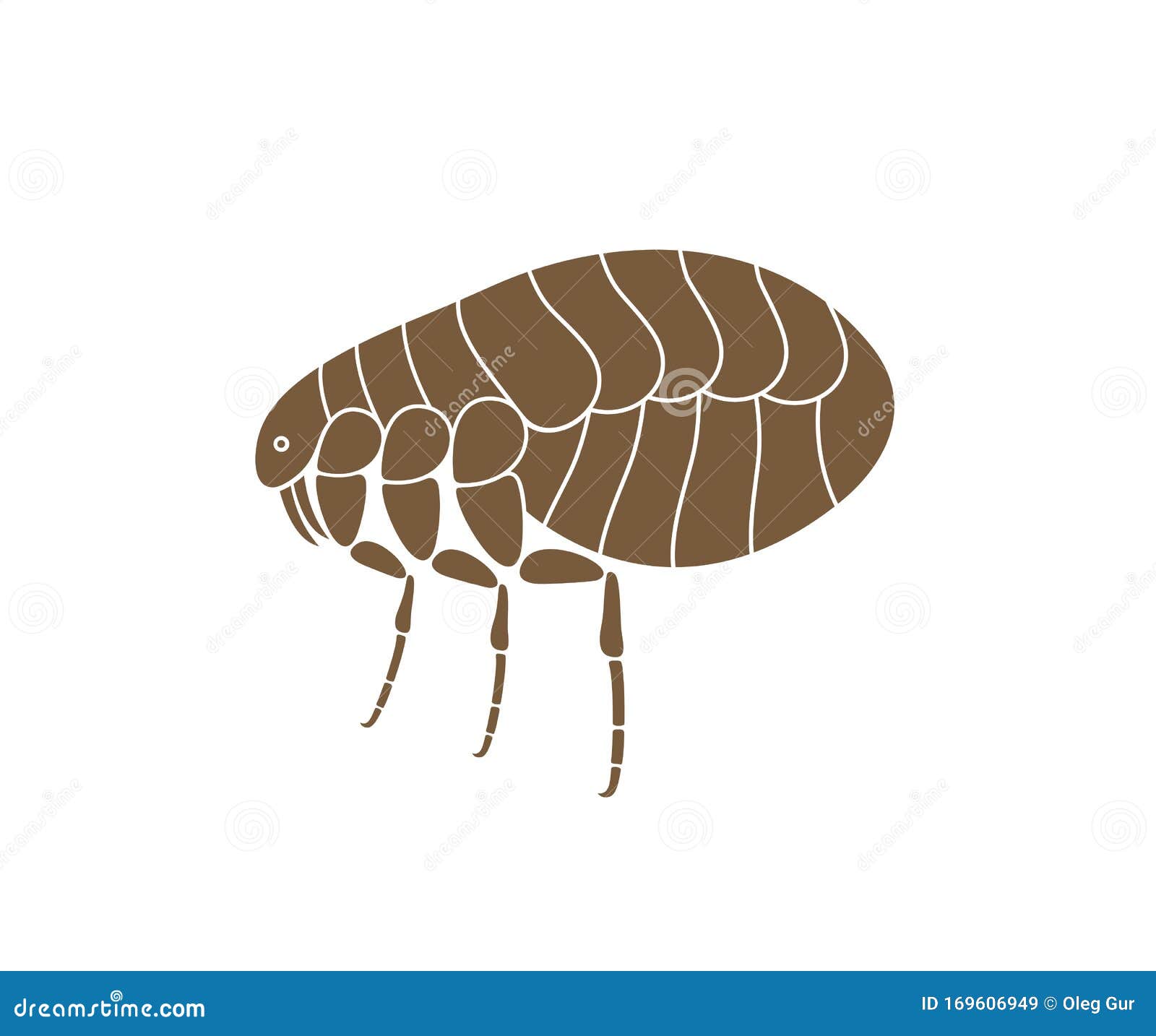 Flea Logo. Isolated Flea on White Background Stock Vector ...
