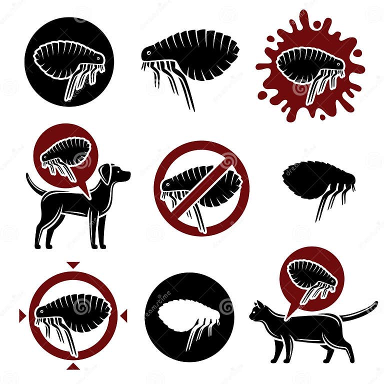 Flea set. Vector stock vector. Illustration of icon, plague - 71674802